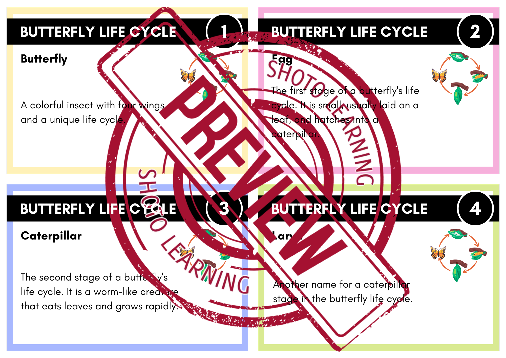 Fluttering Fun: Butterfly Life Cycle Missing Letter Worksheets (With ...