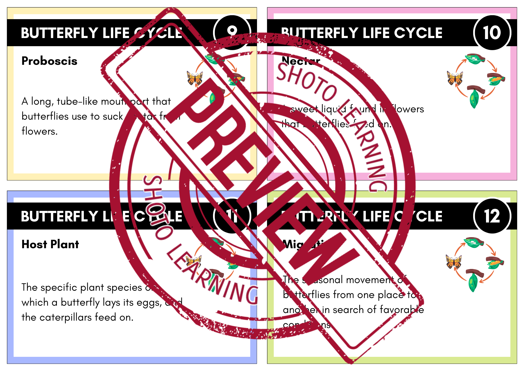 Explore the Butterfly Life Cycle with Engaging Matching Worksheets ...