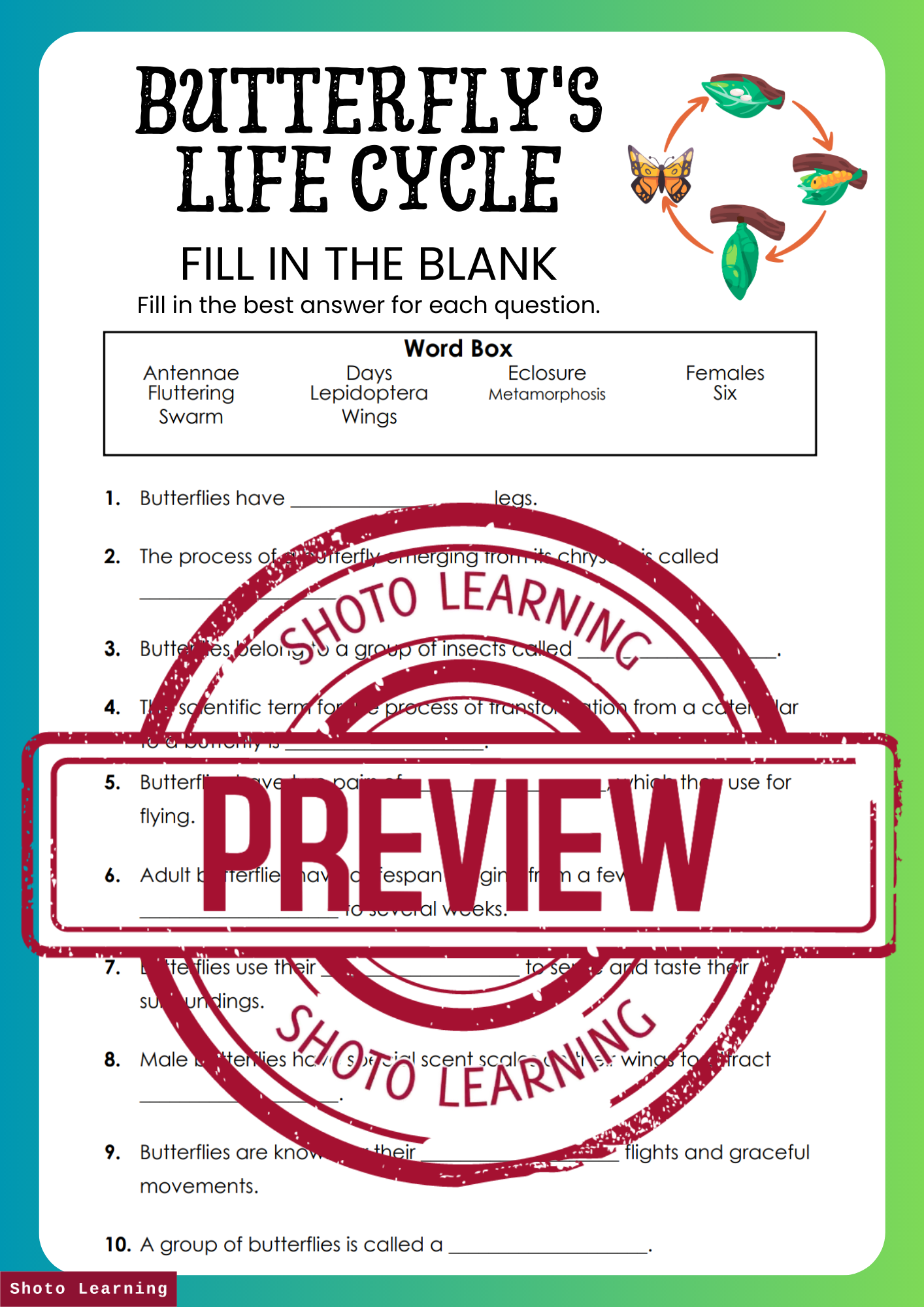 Explore the Butterfly Life Cycle with Engaging Matching Worksheets ...