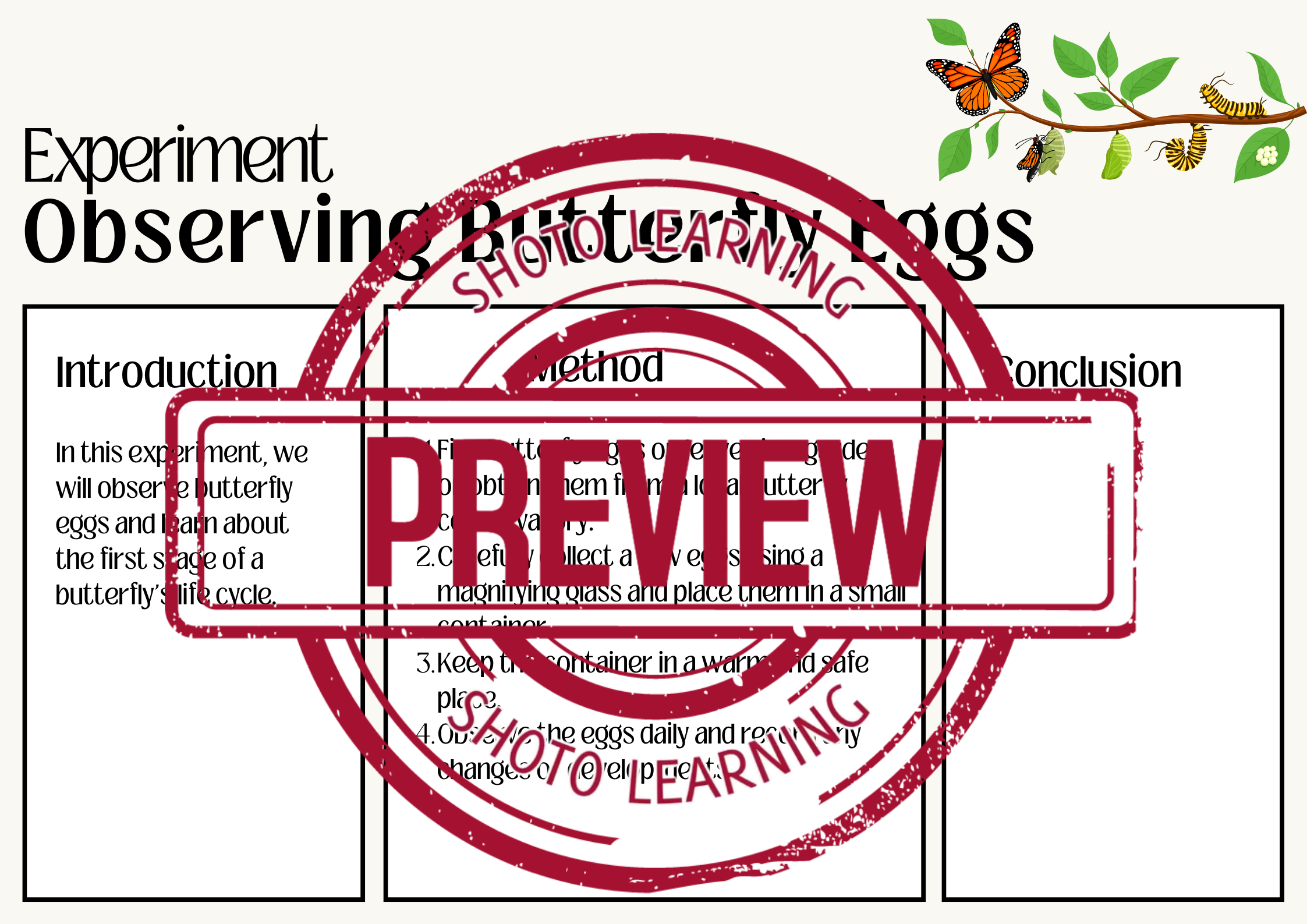 Fluttering Through Stages: Butterfly Life Cycle Word Search Worksheets ...