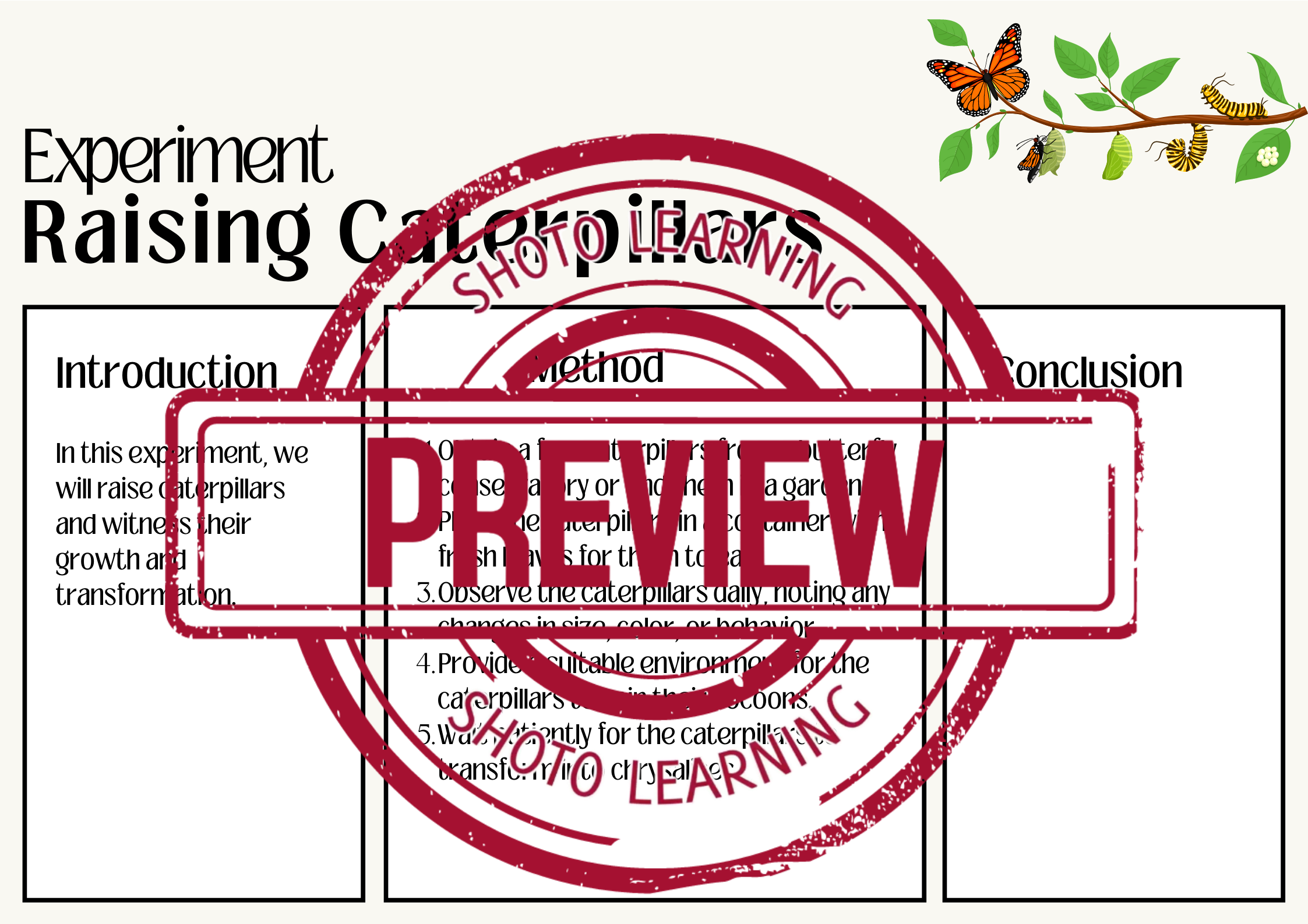 Cell Biology Experiment: 20 Engaging Experiments with Comprehensive ...