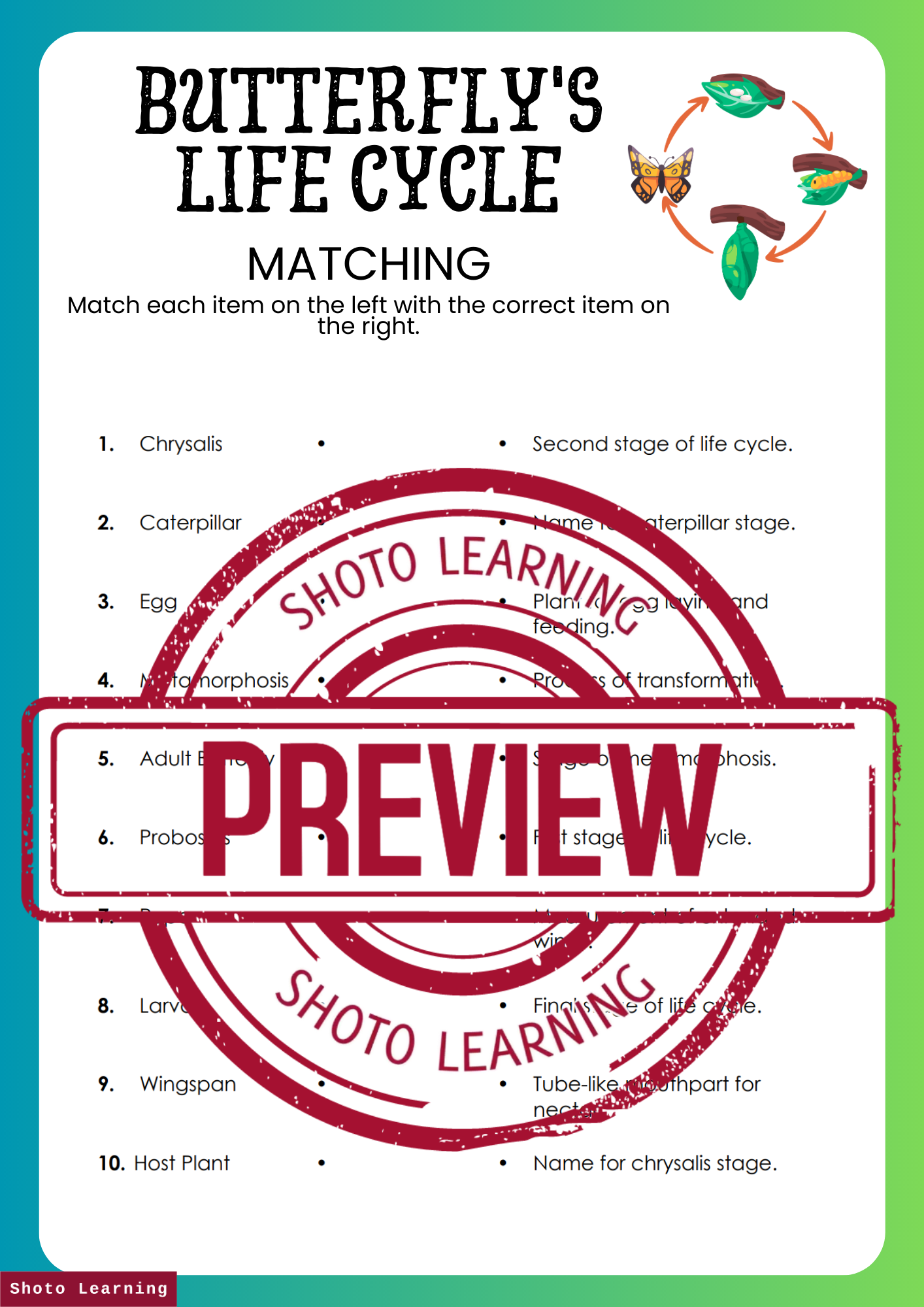 Free Butterfly Life Cycle Cut and Paste Worksheet: Hands-On Learning ...