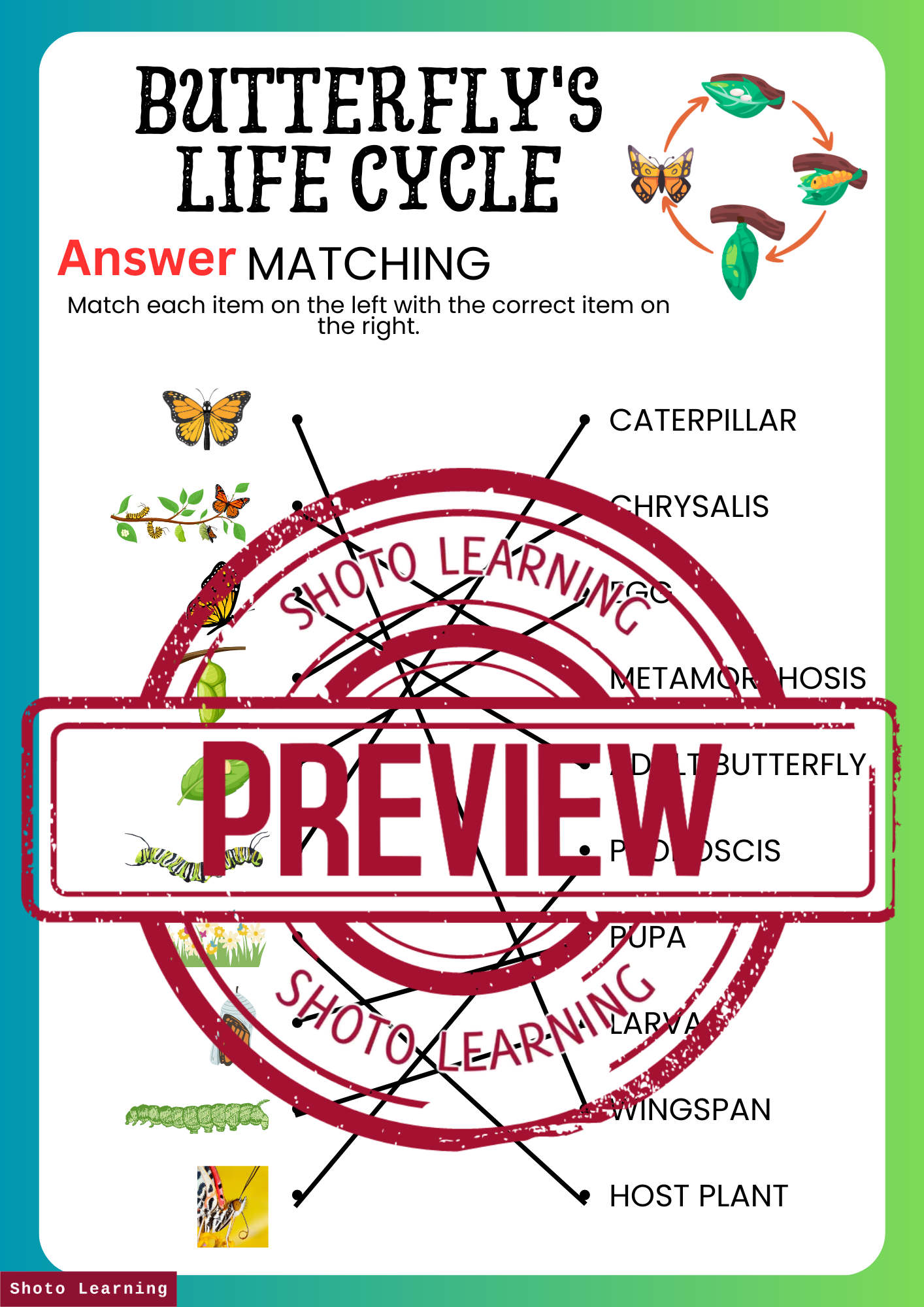 Free Butterfly Life Cycle Cut and Paste Worksheet: Hands-On Learning ...