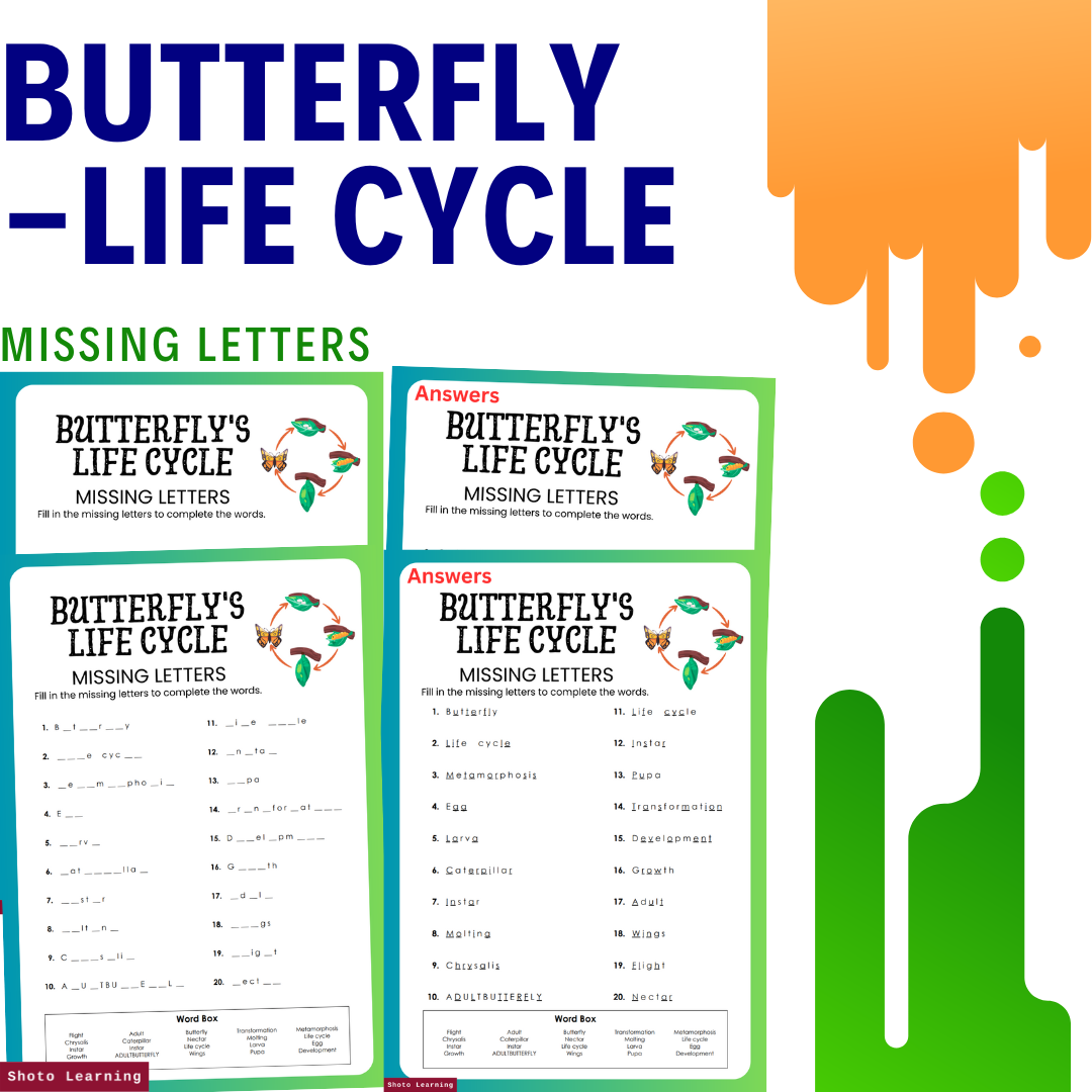 Fluttering Fun: Butterfly Life Cycle Missing Letter Worksheets (With ...