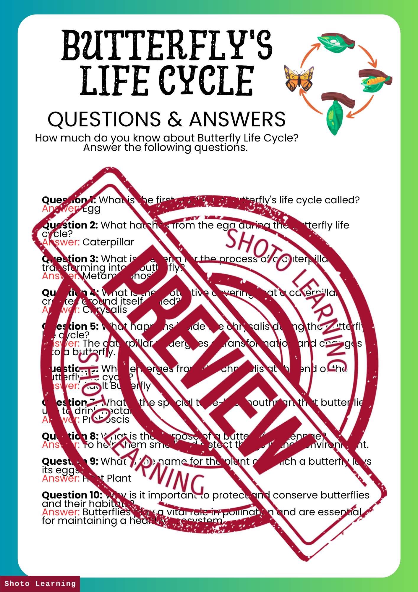 Fluttering Fun: Butterfly Life Cycle Missing Letter Worksheets (With ...