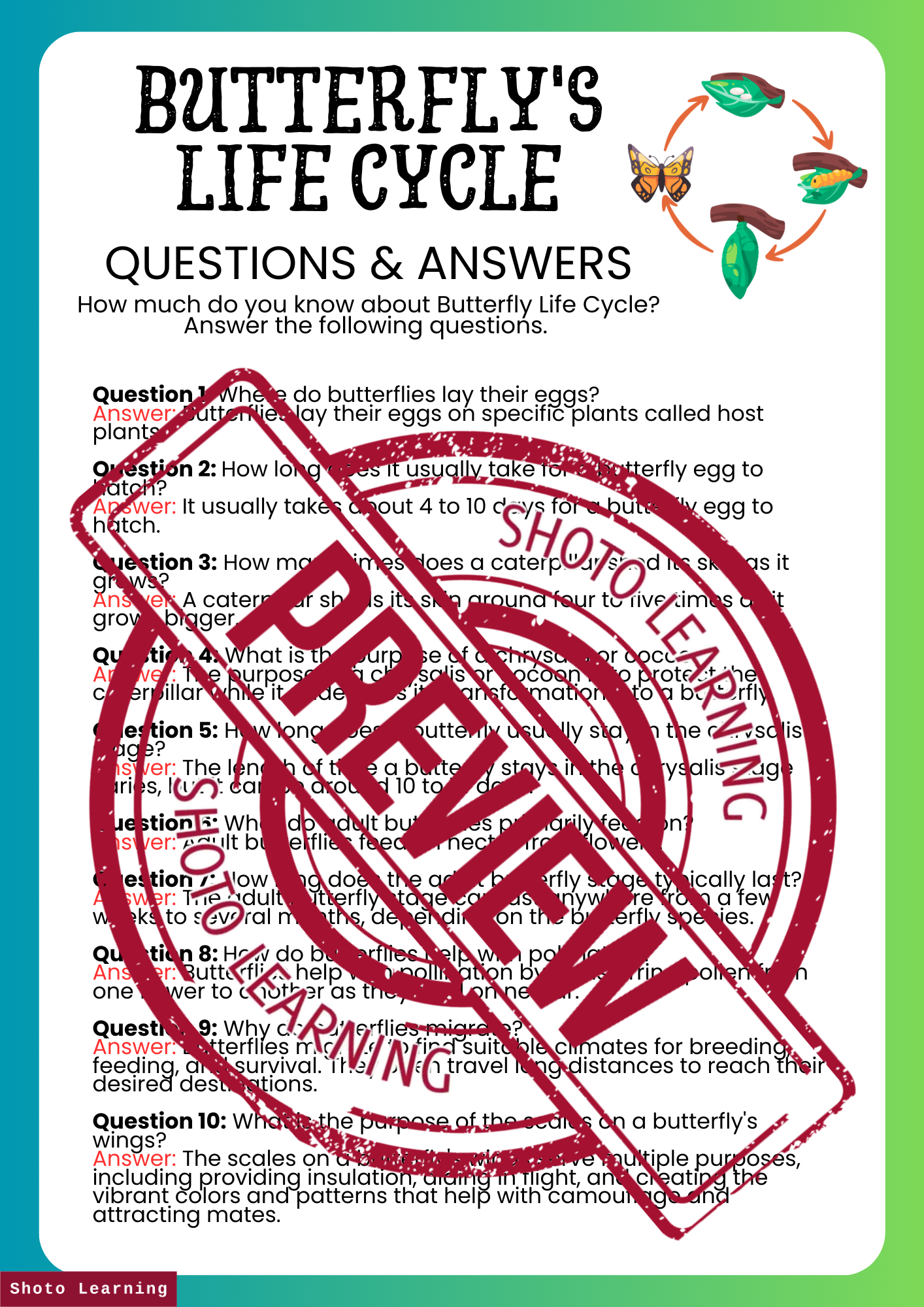 Fluttering Fun: Butterfly Life Cycle Missing Letter Worksheets (With ...
