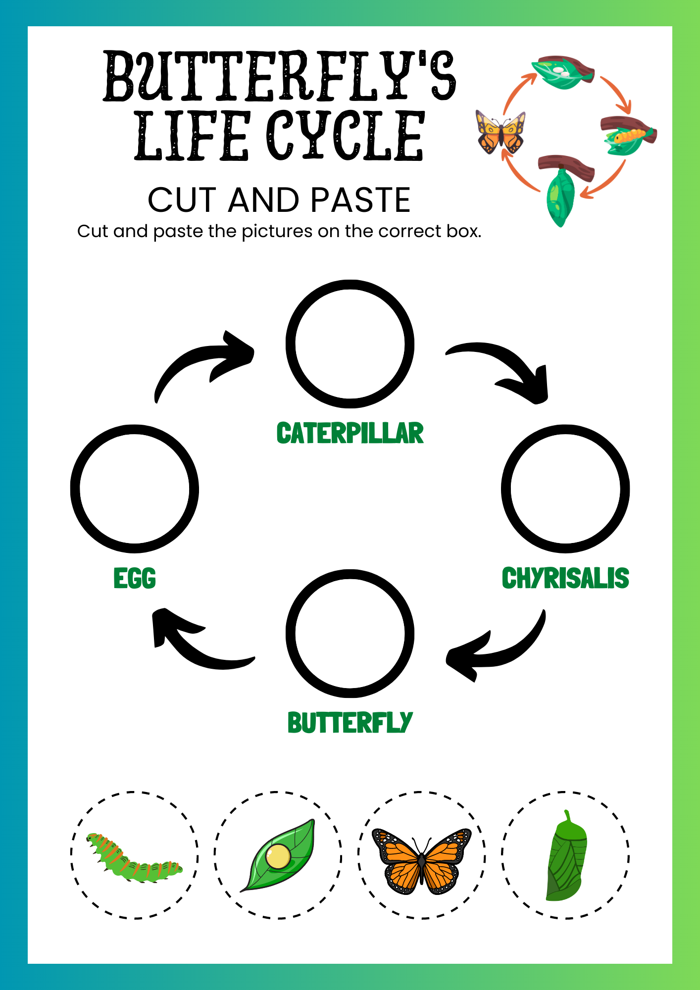 Fluttering Fun: Butterfly Life Cycle Missing Letter Worksheets (With ...