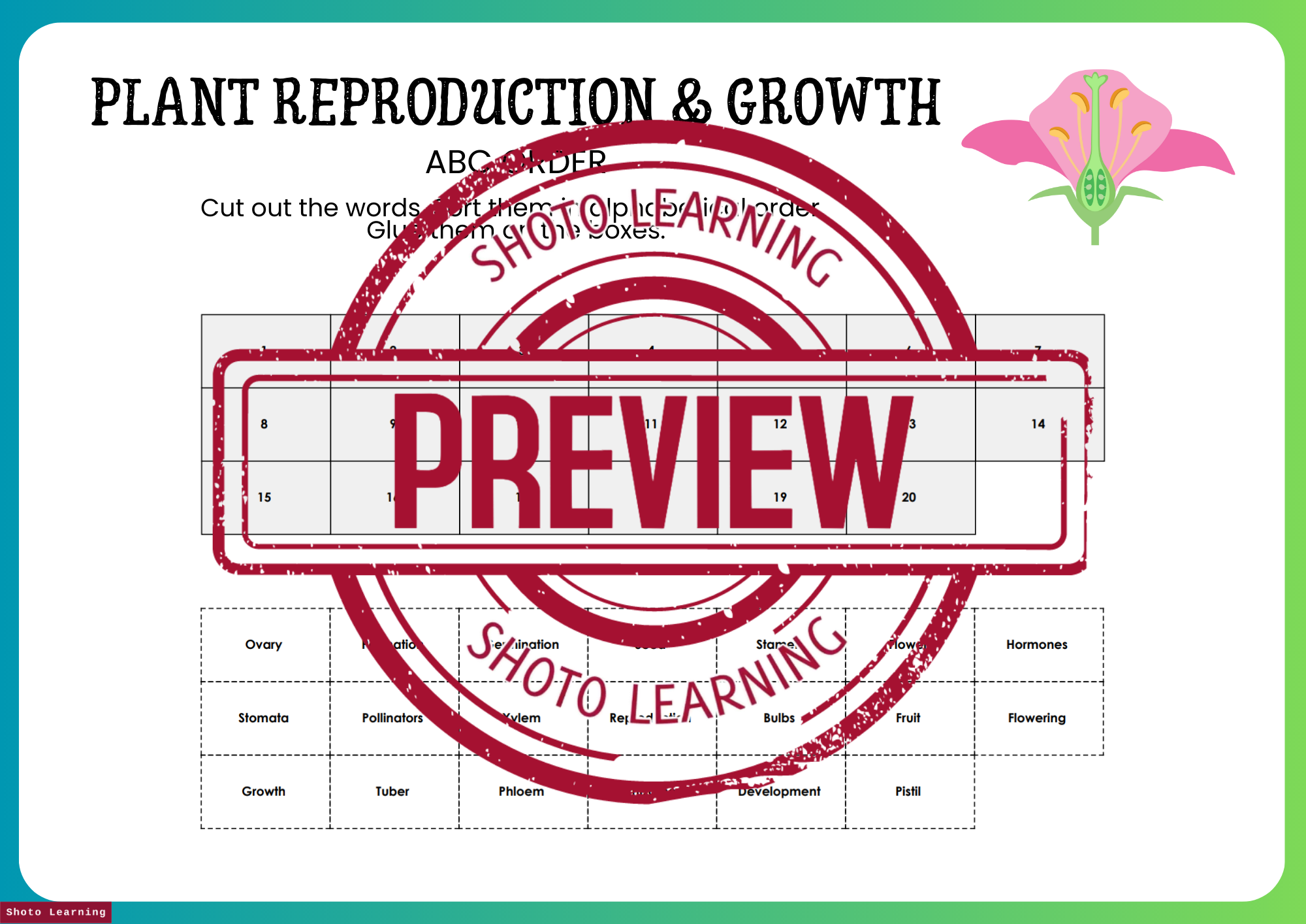Respiratory System Diagram: Fill in the Blanks and Learn About Your ...