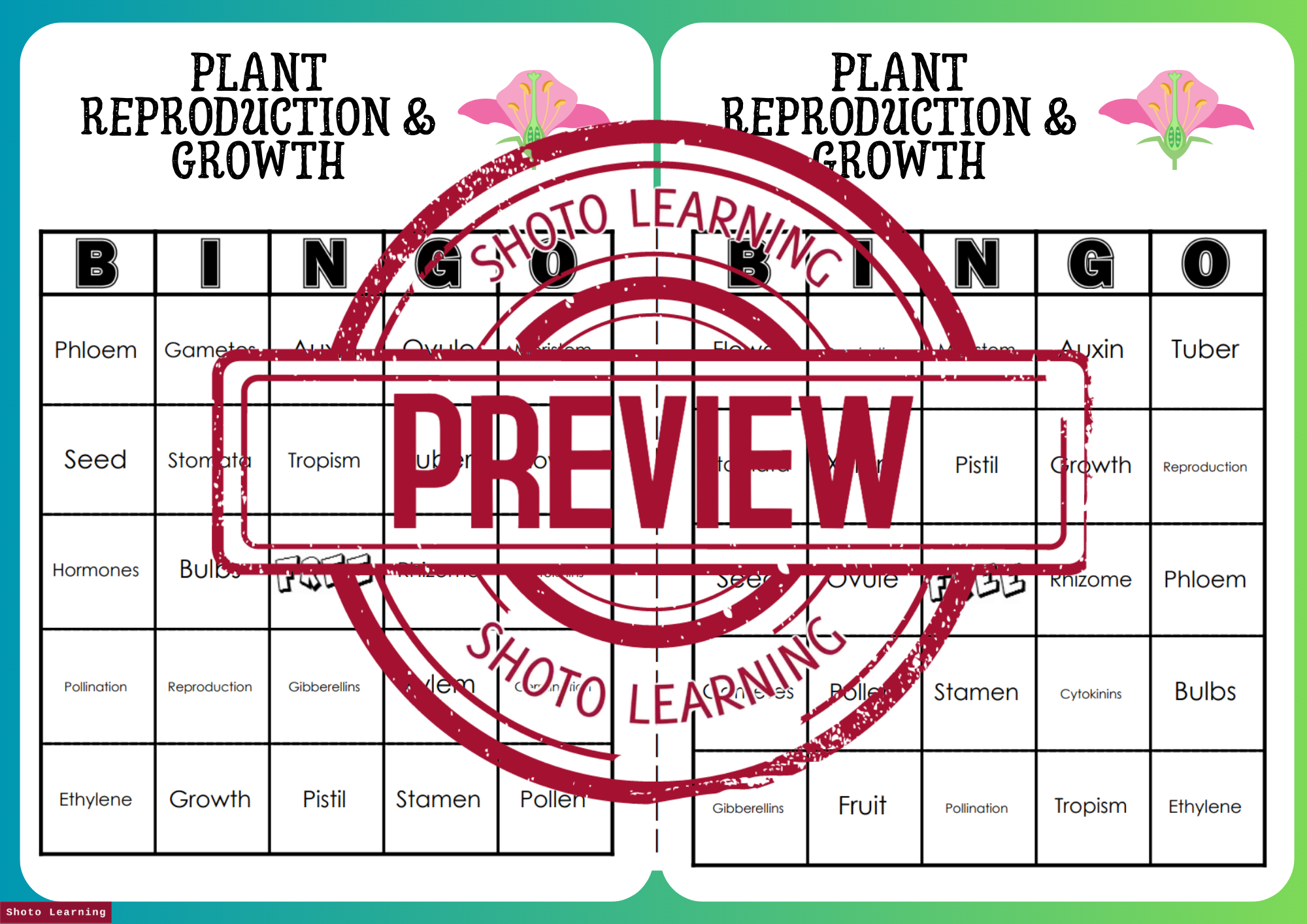 Small Intestine Bingo Bonanza: Explore Lining and Bacteria Dynamics ...
