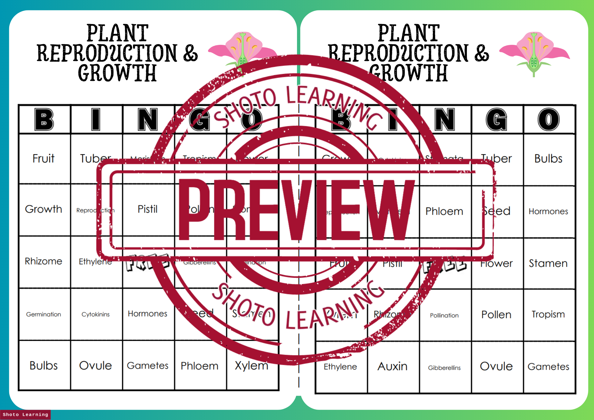 Respiratory System Bingo: A Game for Breathing New Life into Learning ...