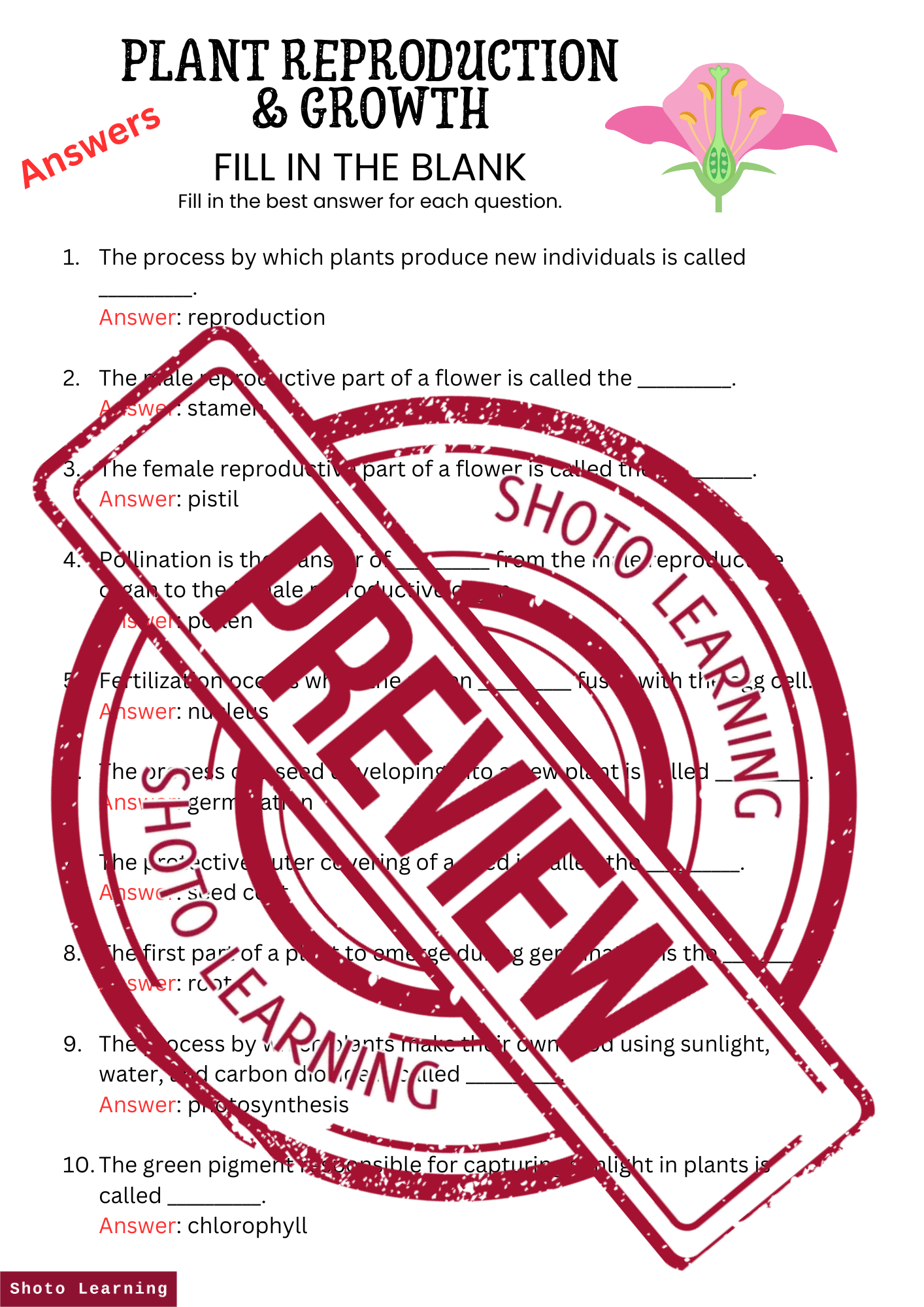 Plant Reproduction and Growth Matching Worksheet: Test Your Botanical ...