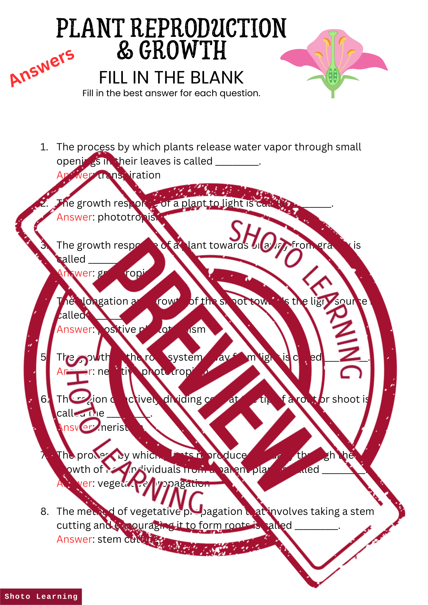 Respiratory System Fill in the Blank: Anatomy and Physiology of Your ...