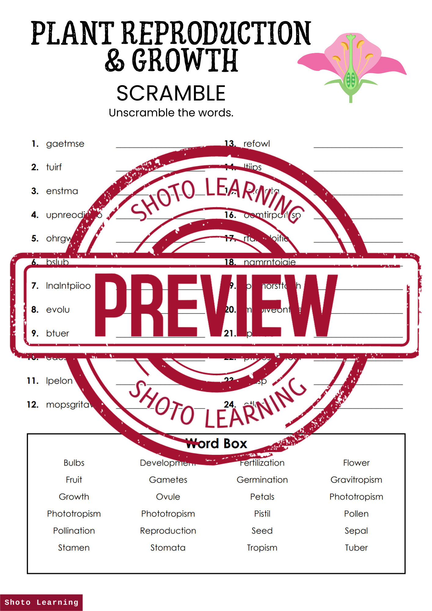 PARTS OF THE EAR SCIENCE ACTIVITY - SCRAMBLE WORDS UNSCRAMBLE ...