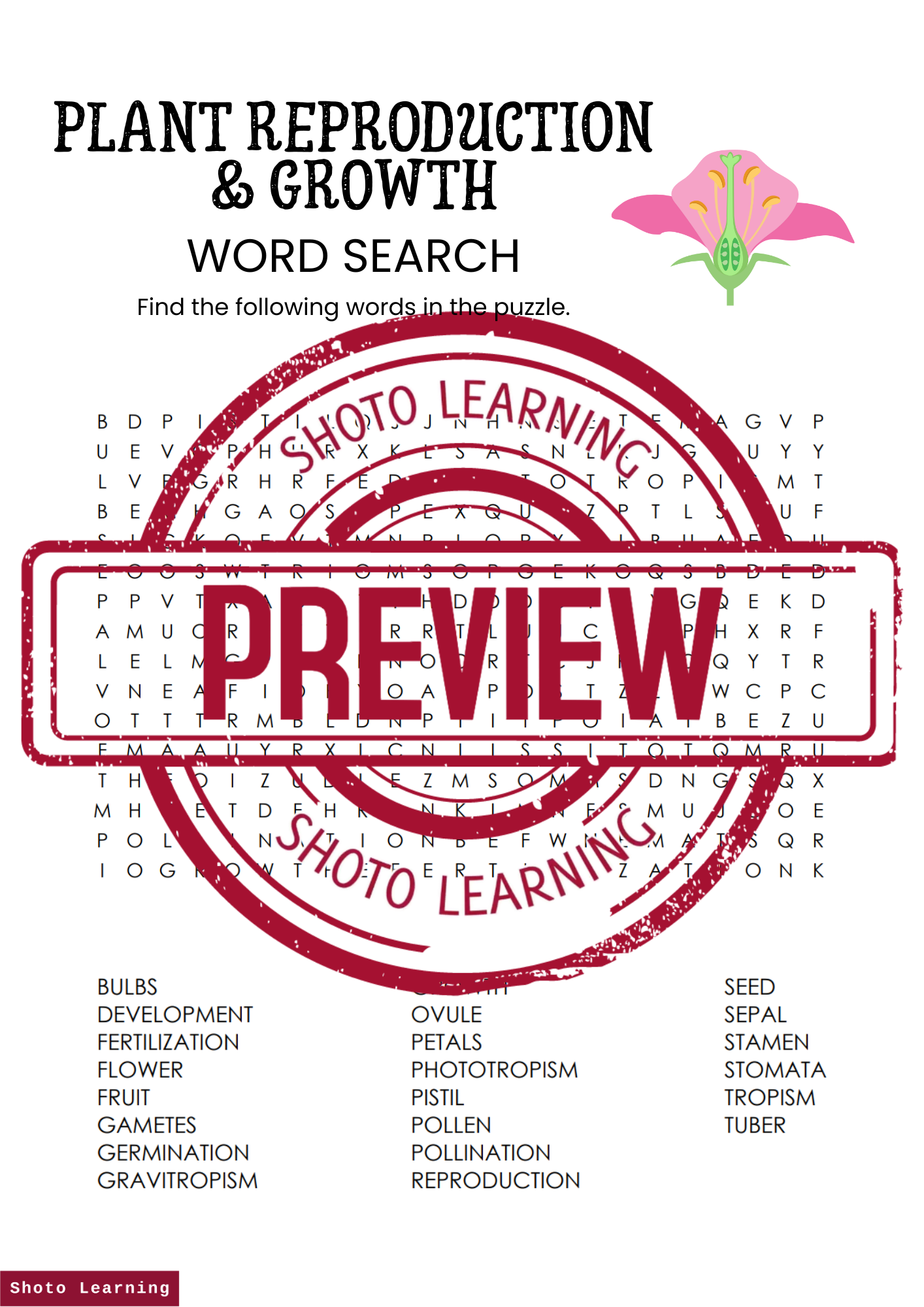 Cardiovascular System Word Search: Circulatory System Challenge — Shoto ...