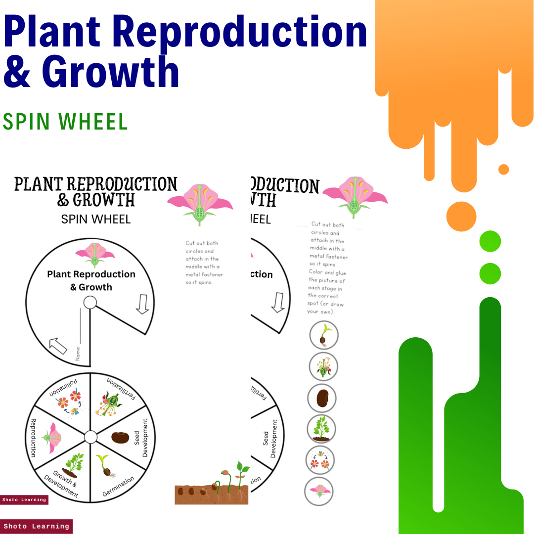 Plant Reproduction and Growth Spin Wheel: Unleash the Botanical Cycle ...