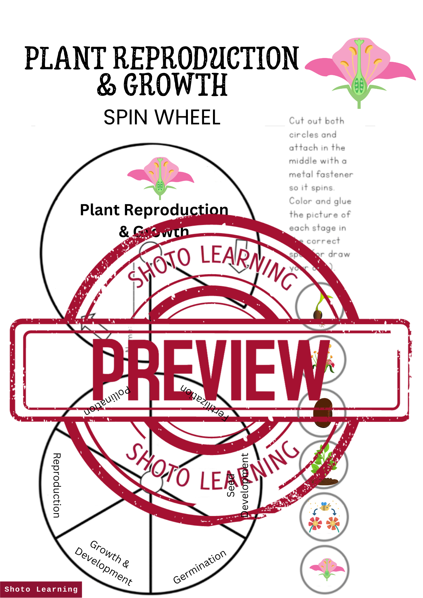 LIFE CYCLE OF A FROG - LITTLE SCIENCE AMPHIBIAN WHEEL TADPOLE WORKSHEET ...