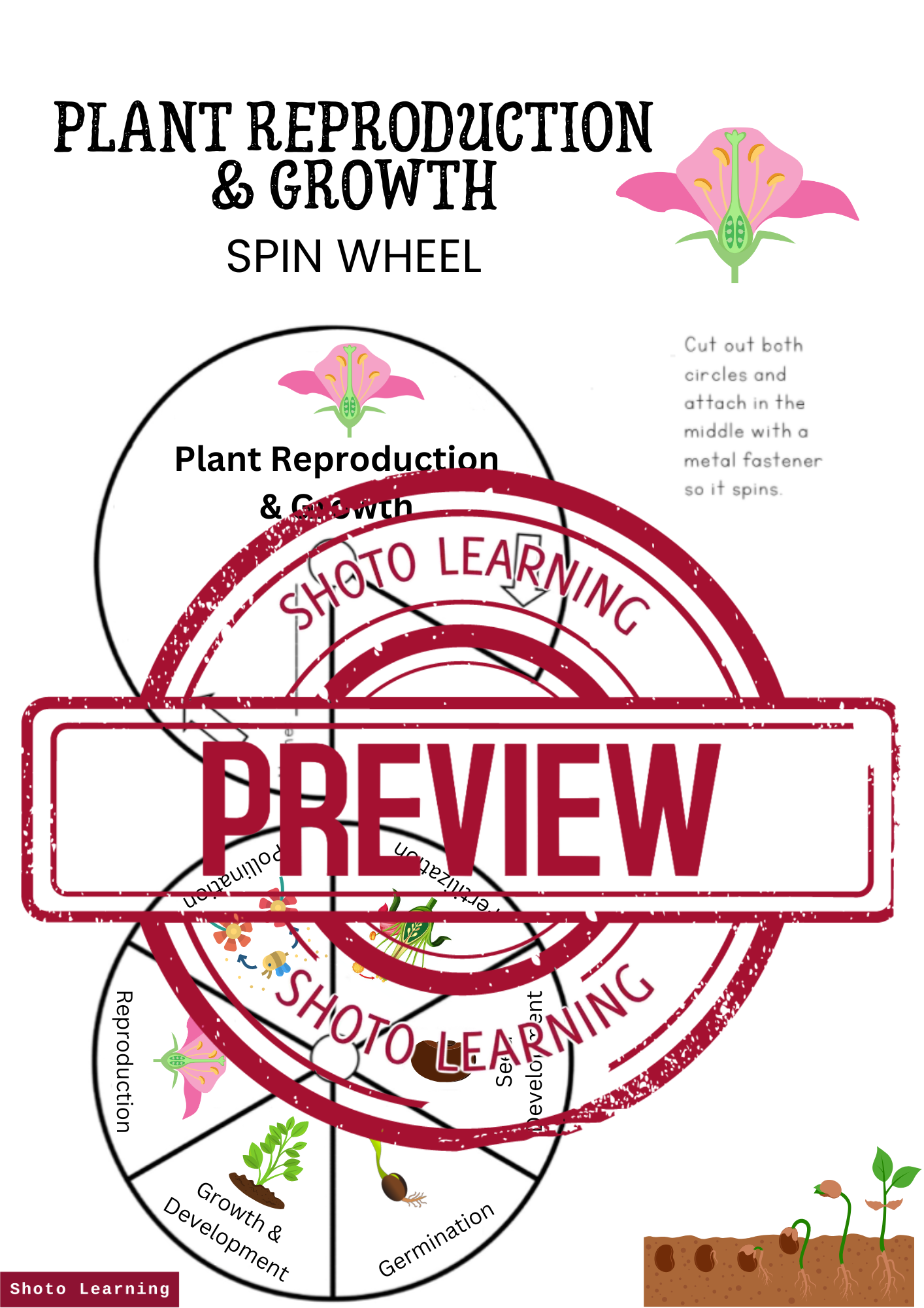 LIFE CYCLE OF A FROG - LITTLE SCIENCE AMPHIBIAN WHEEL TADPOLE WORKSHEET ...