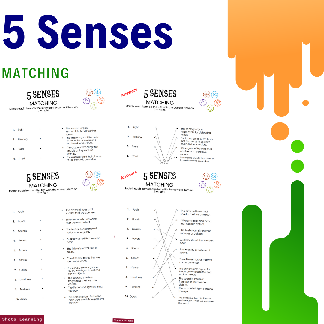 5 Senses Matching Worksheets - Fun & Educational Activity Set