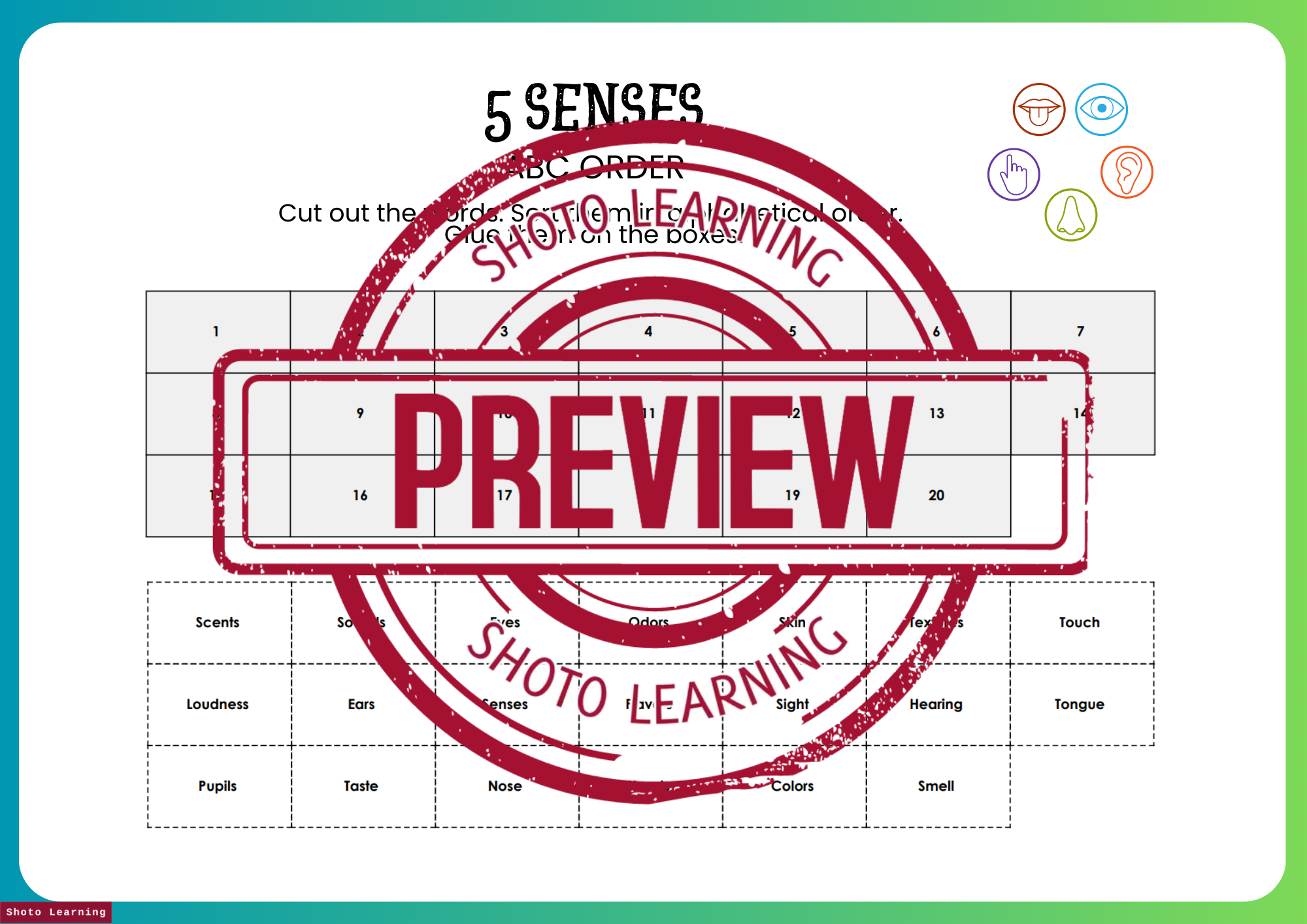 Discover Small Intestine Valli: Cut and Paste Exploration — Shoto ...