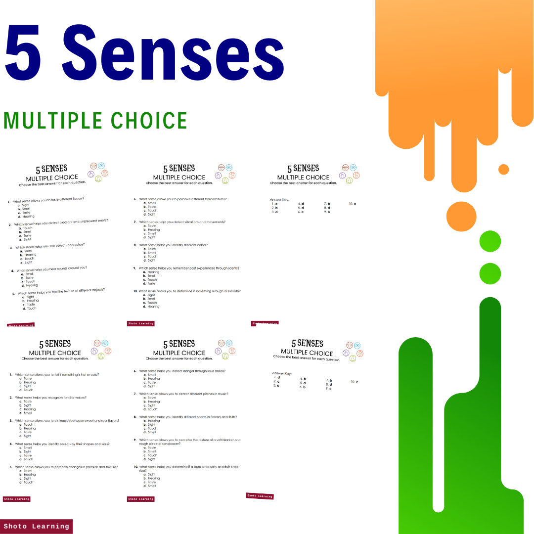 Sensory Adventures: 20 Multiple Choice Questions on the 5 Senses ...