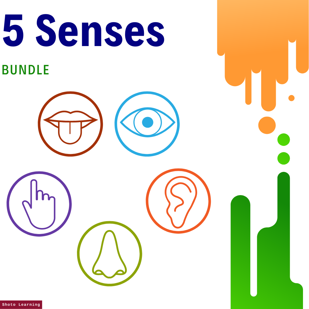 The Sensory Explorer: Complete Bundle Worksheets on the 5 Senses ...