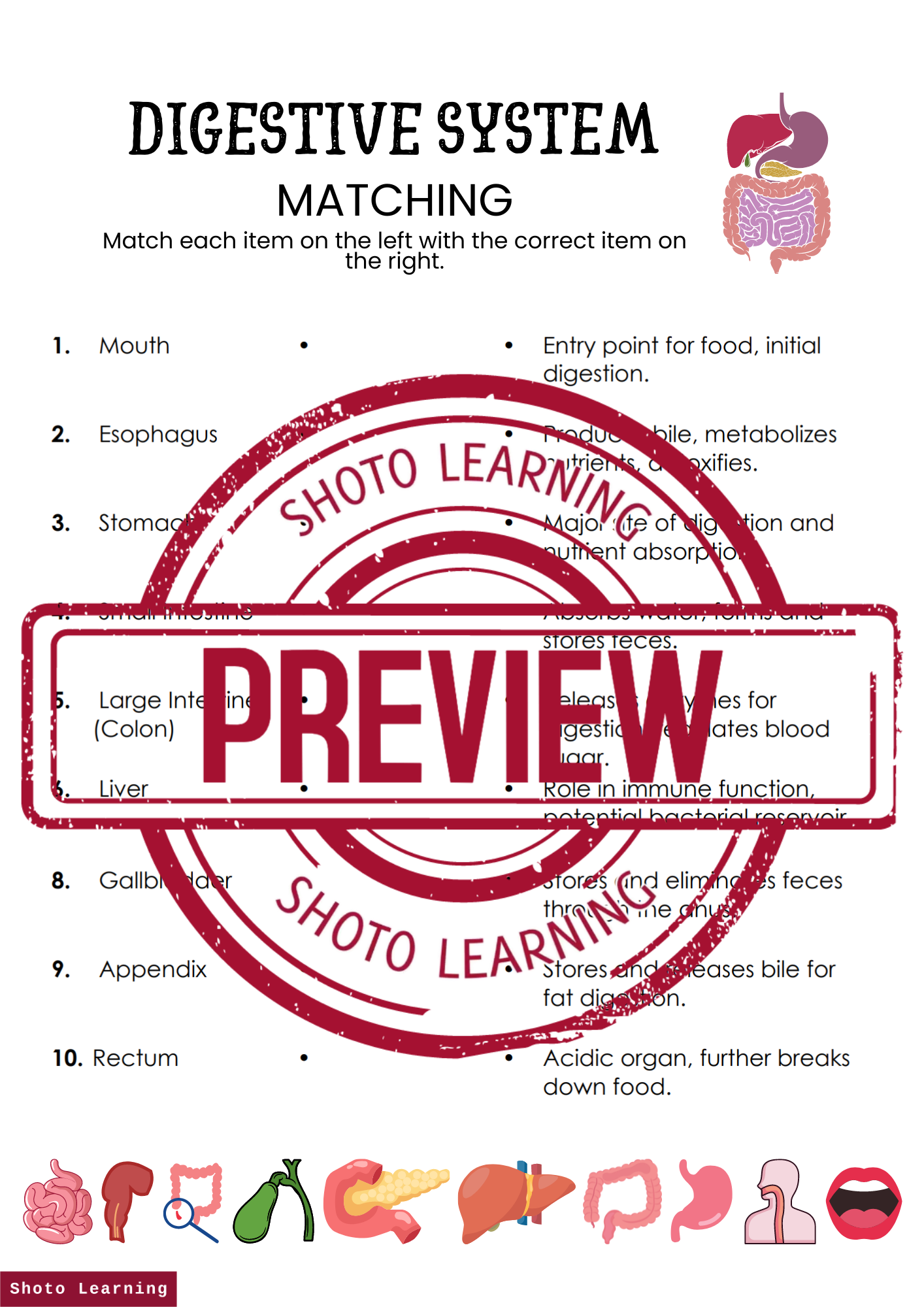 DIGESTIVE SYSTEM SCIENCE ACTIVITY - SCRAMBLE WORDS VOCABULARY WORD ...