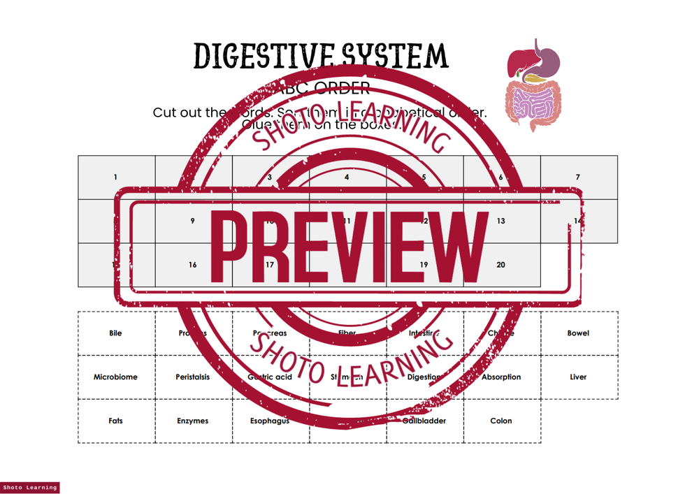 DIGESTIVE SYSTEM SCIENCE ACTIVITY - SCRAMBLE WORDS VOCABULARY WORD ...