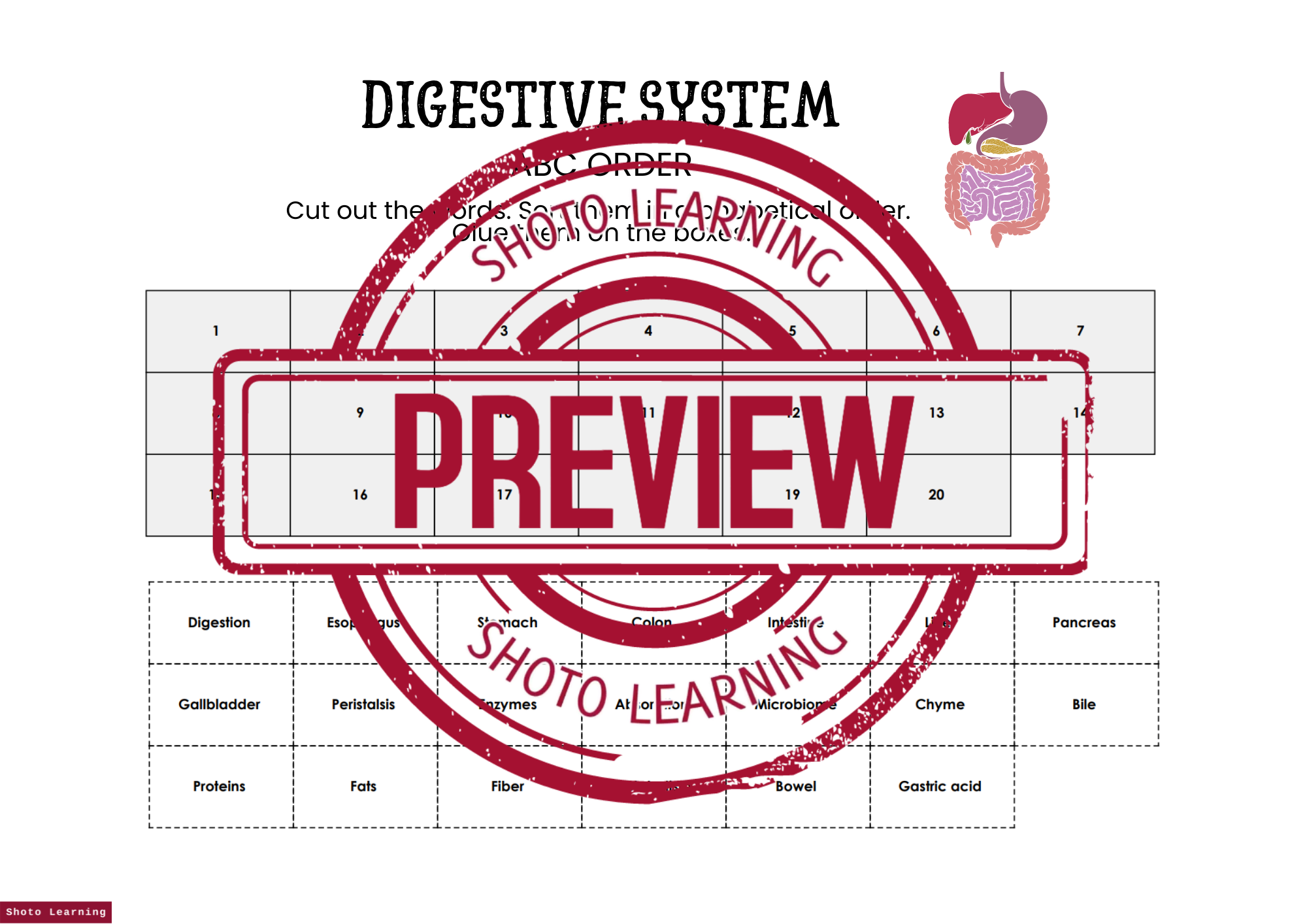 DIGESTIVE SYSTEM SCIENCE ACTIVITY - SCRAMBLE WORDS VOCABULARY WORD ...