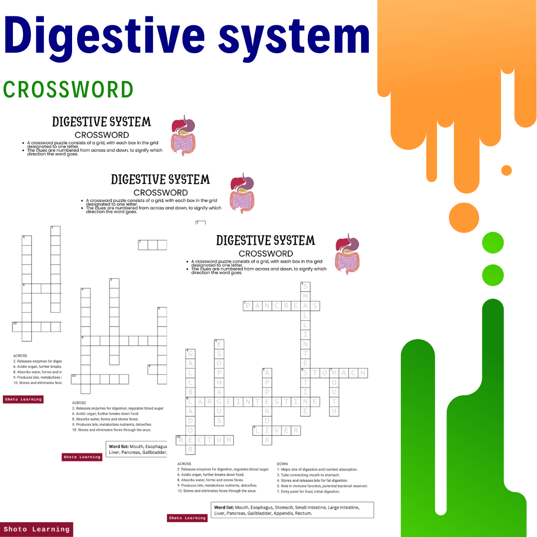 Digestive System — Shoto Learning | English | Math | Science Worksheets
