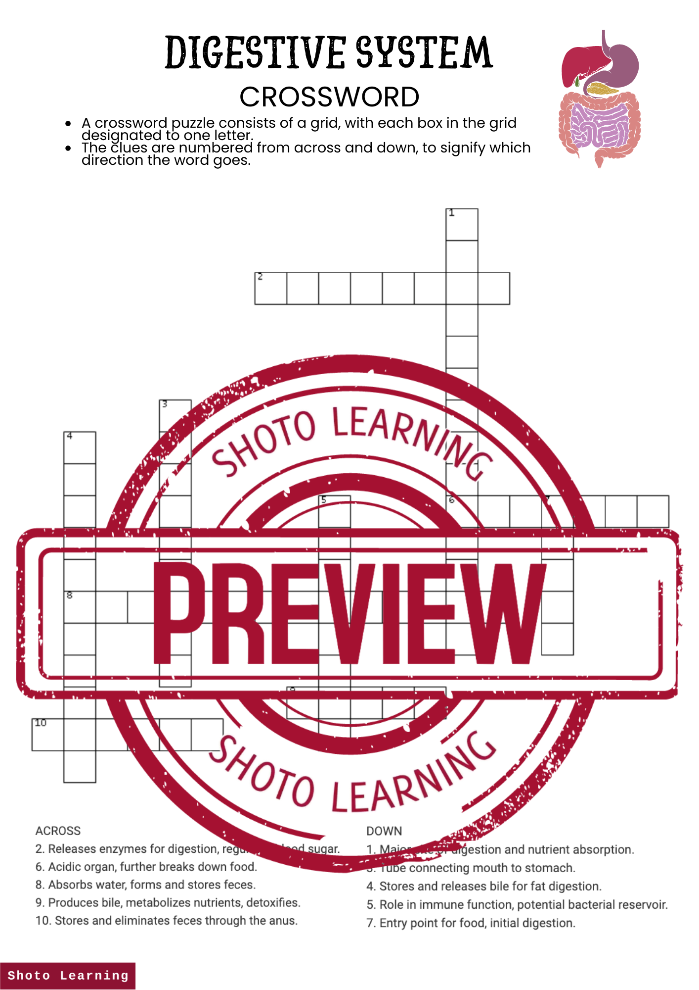 Respiratory System Crossword Worksheet Puzzle: Breath of Knowledge ...