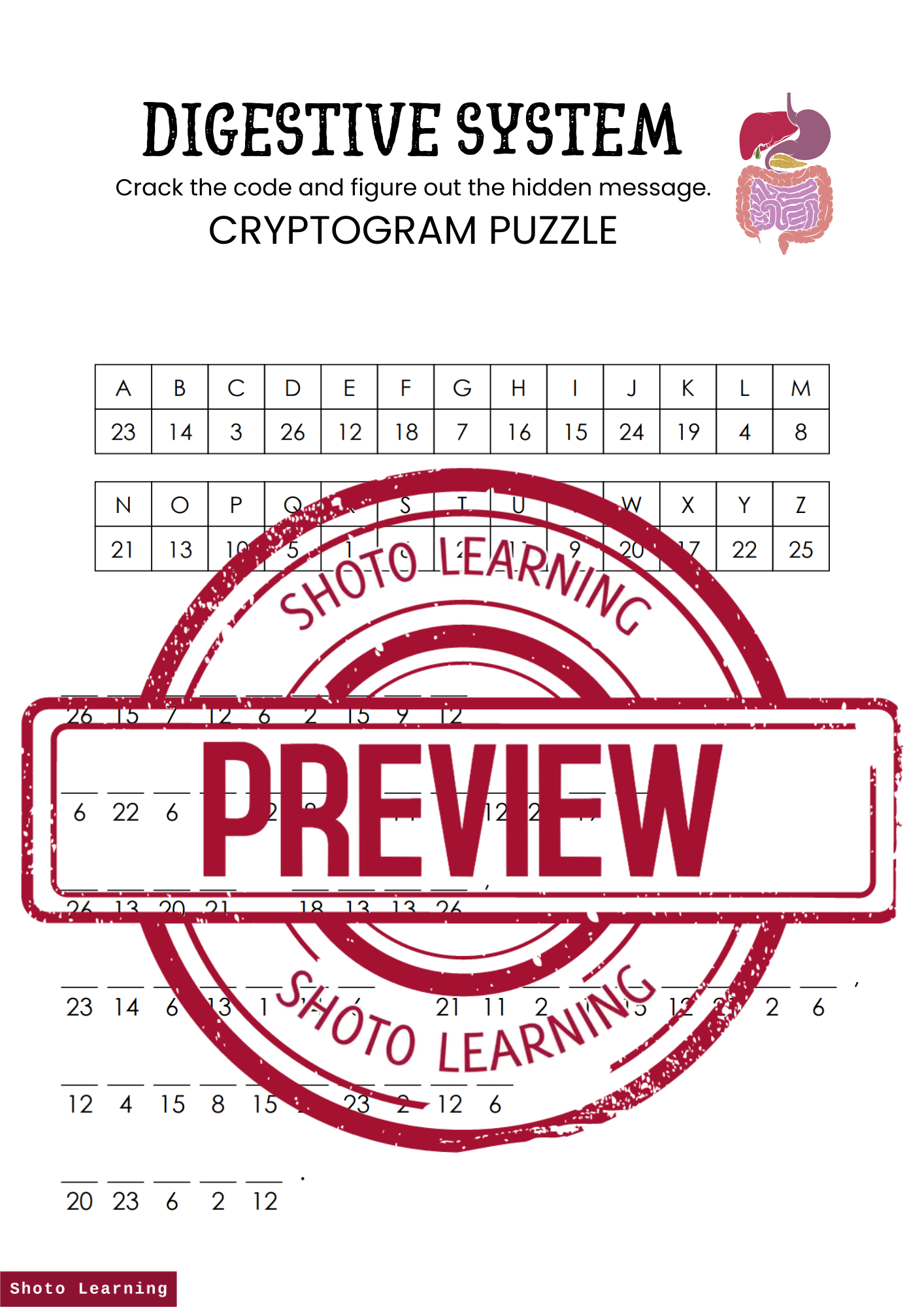 DIGESTIVE SYSTEM SCIENCE ACTIVITY - SCRAMBLE WORDS VOCABULARY WORD ...