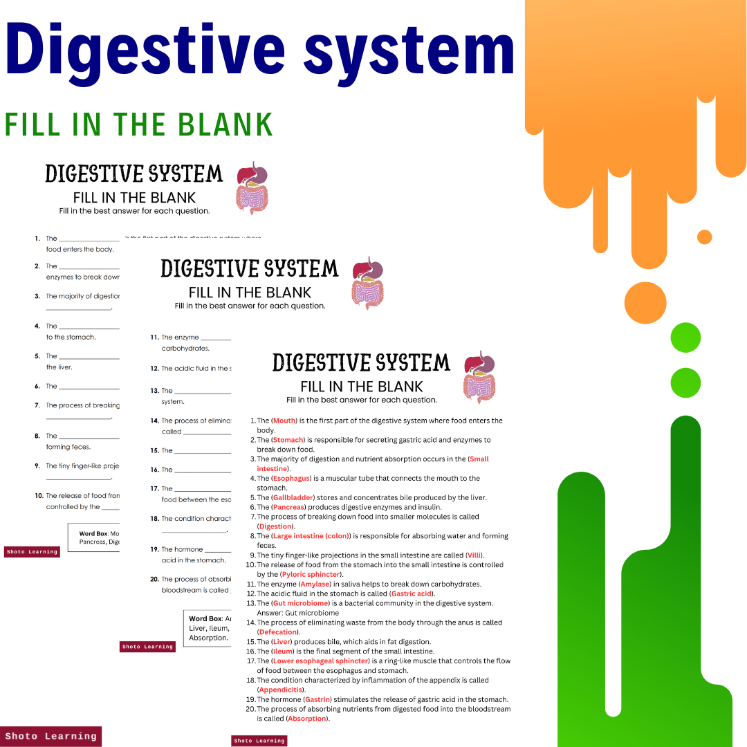 Digestive System — Shoto Learning | English | Math | Science Worksheets
