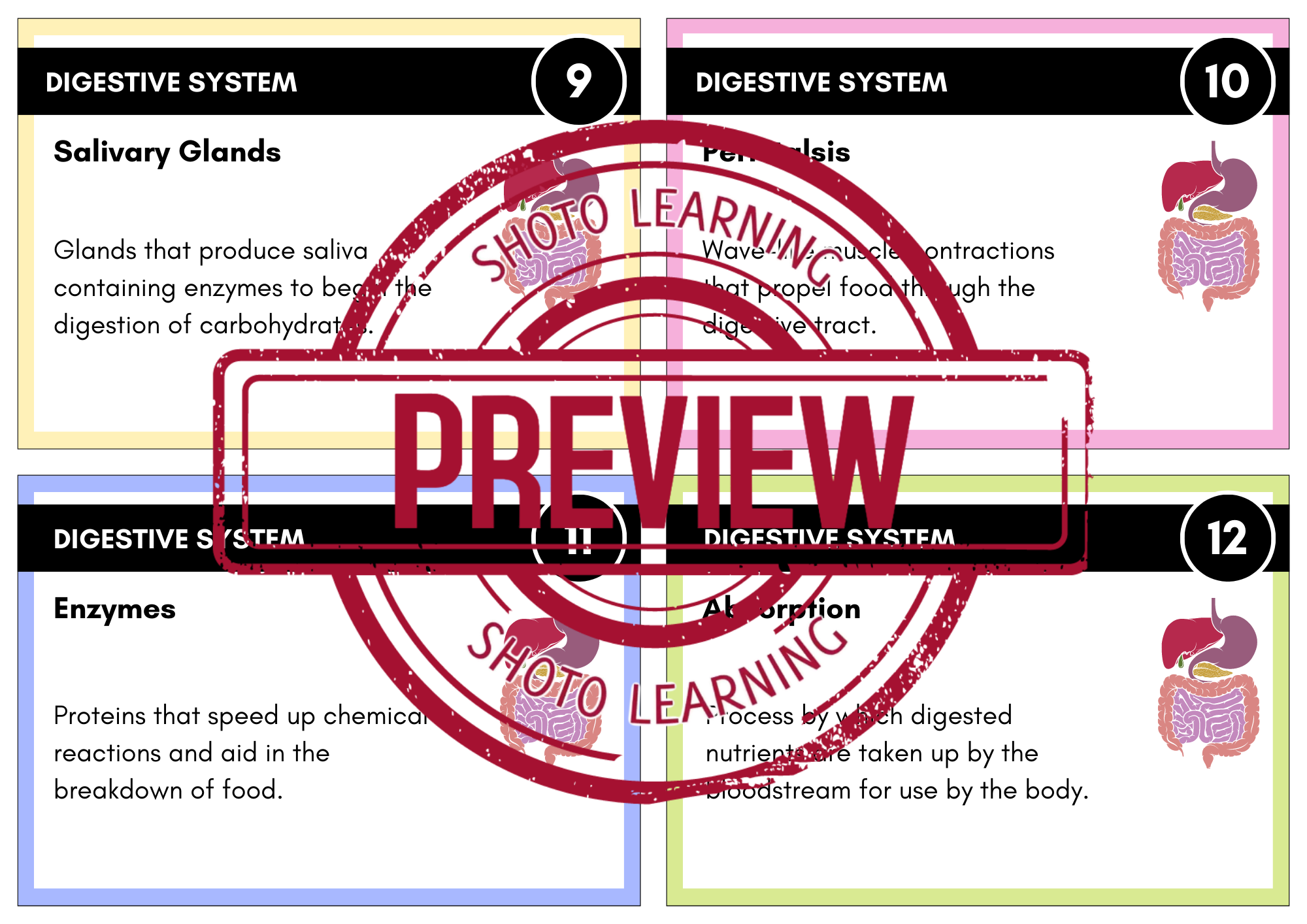 DIGESTIVE SYSTEM SCIENCE ACTIVITY - SCRAMBLE WORDS VOCABULARY WORD ...