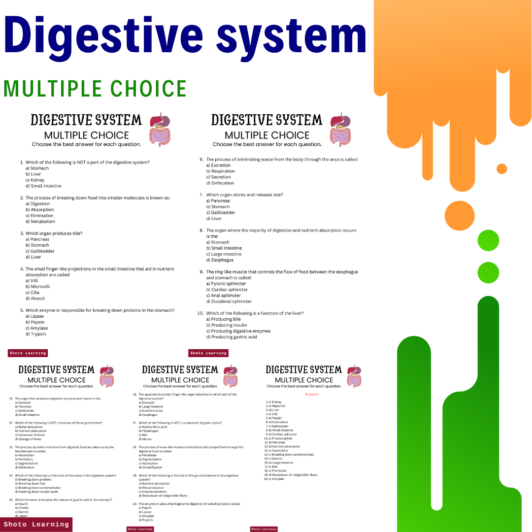 Digestive System — Shoto Learning | English | Math | Science Worksheets
