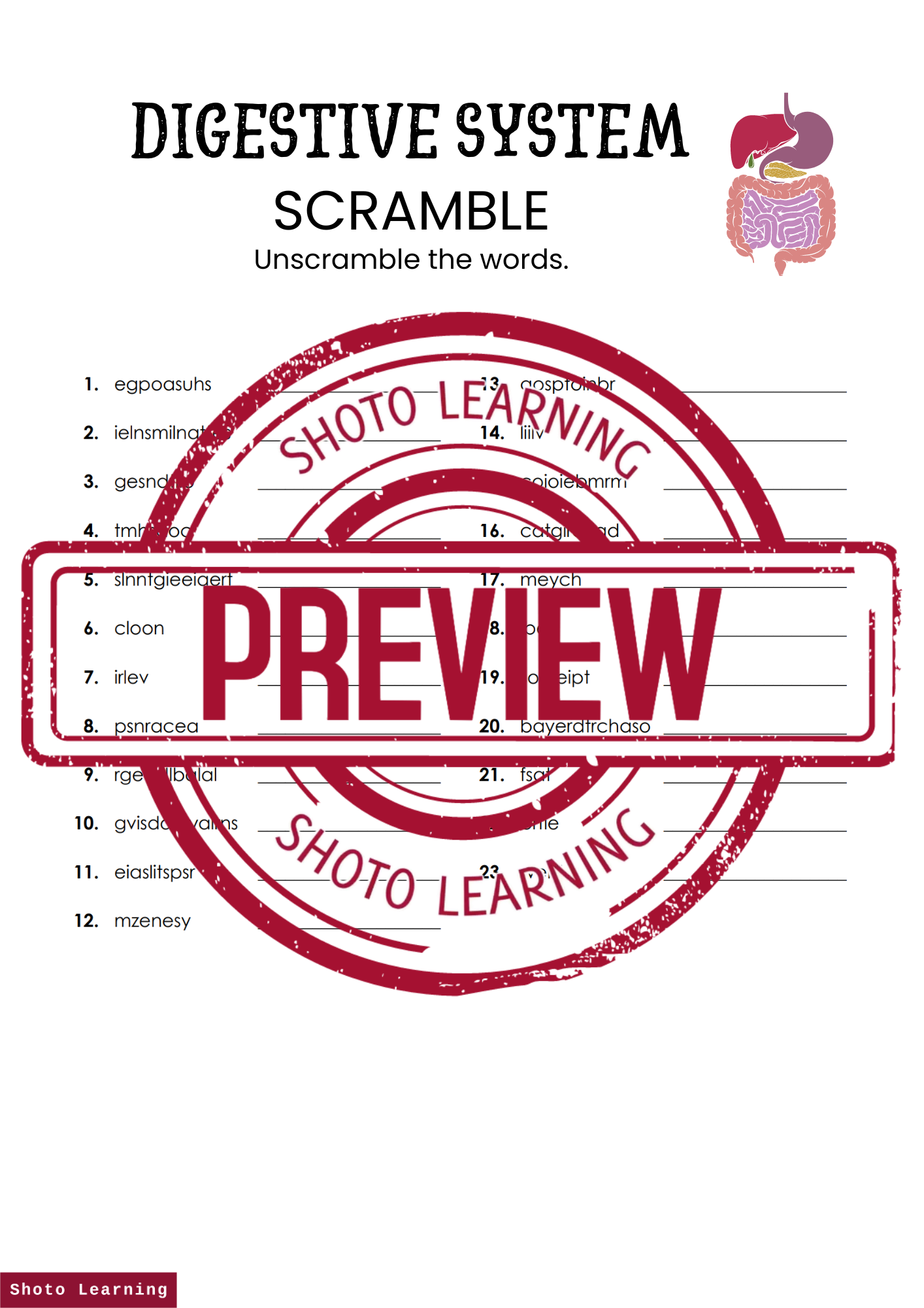 Genetic Word Scramble Worksheet: Decode and Unscramble the World of DNA ...