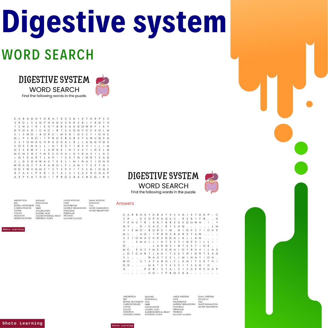 Digestive System — Shoto Learning | English | Math | Science Worksheets