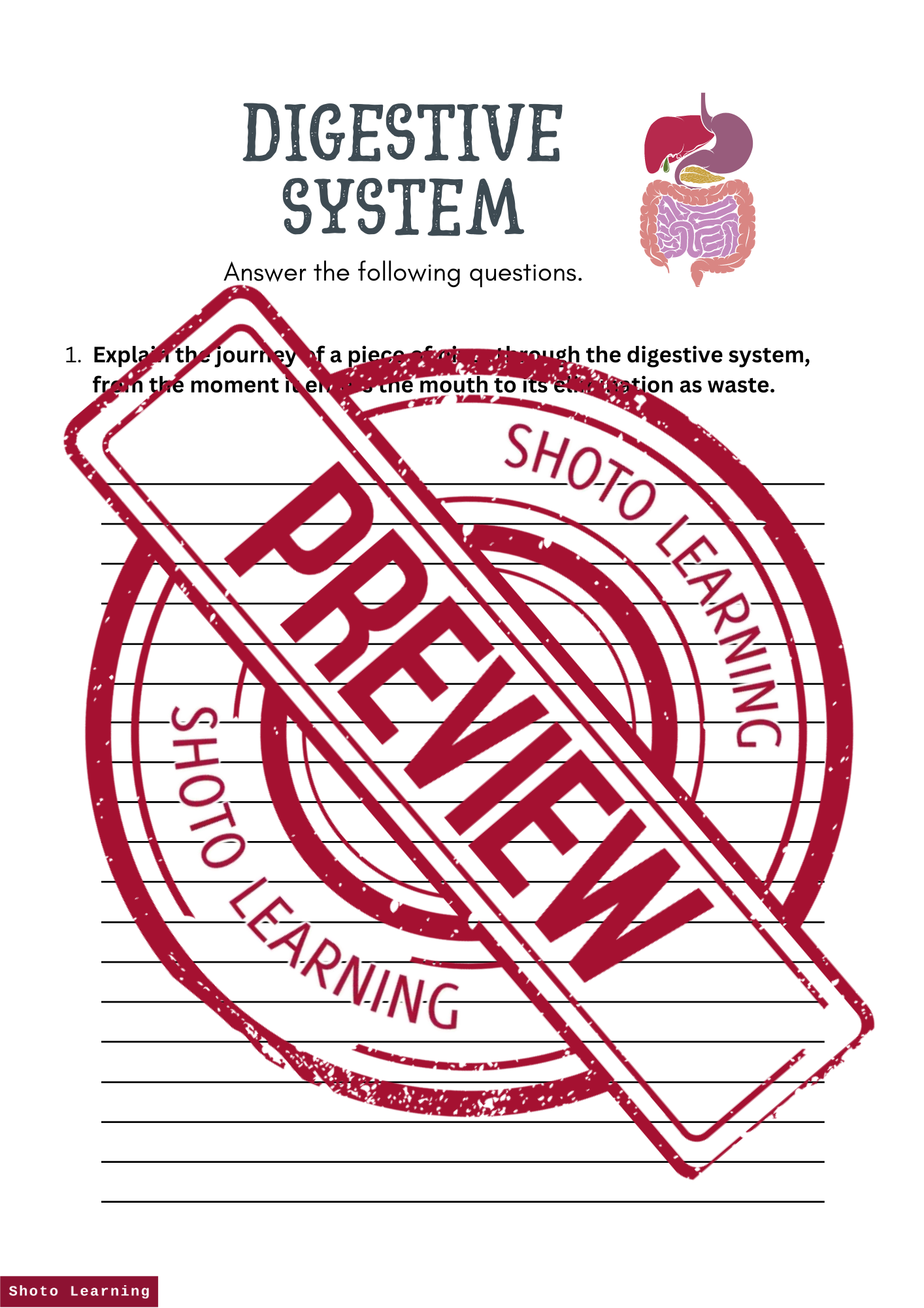 Sensory Explorations: 10 Engaging Writing Prompts on the 5 Senses ...