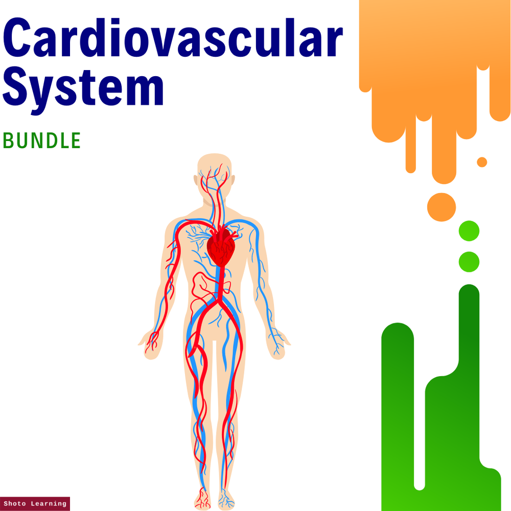 Cardiovascular System Bingo: A Great Way to Review Anatomy and ...