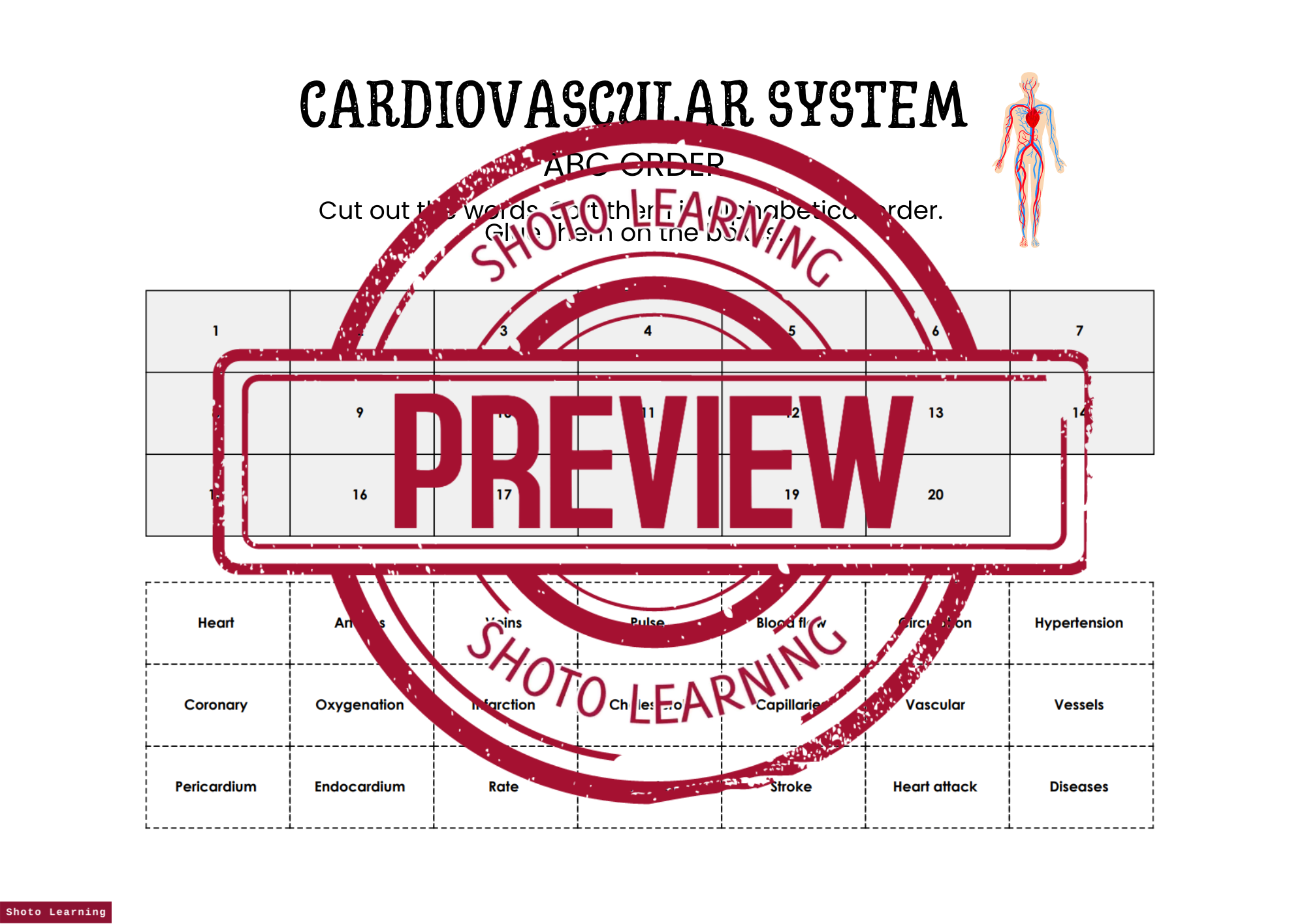 Cardiovascular System Word Scramble: A Fun and Educational Way to Learn ...
