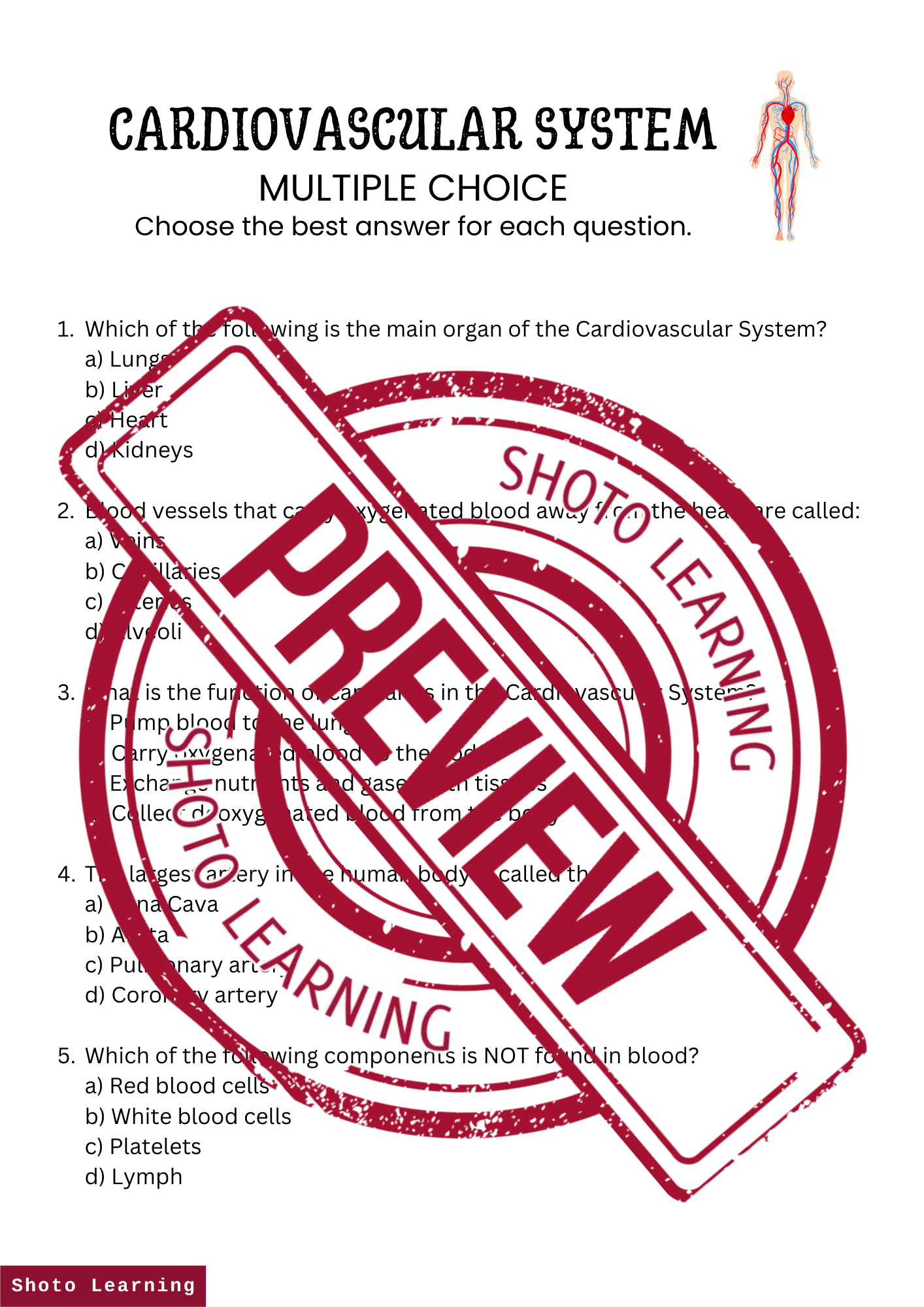 FIVE 5 SENSES 3 X PUZZLE SCIENCE ACTIVITY - BUNDLE WORD FIND SCRAMBLE ...