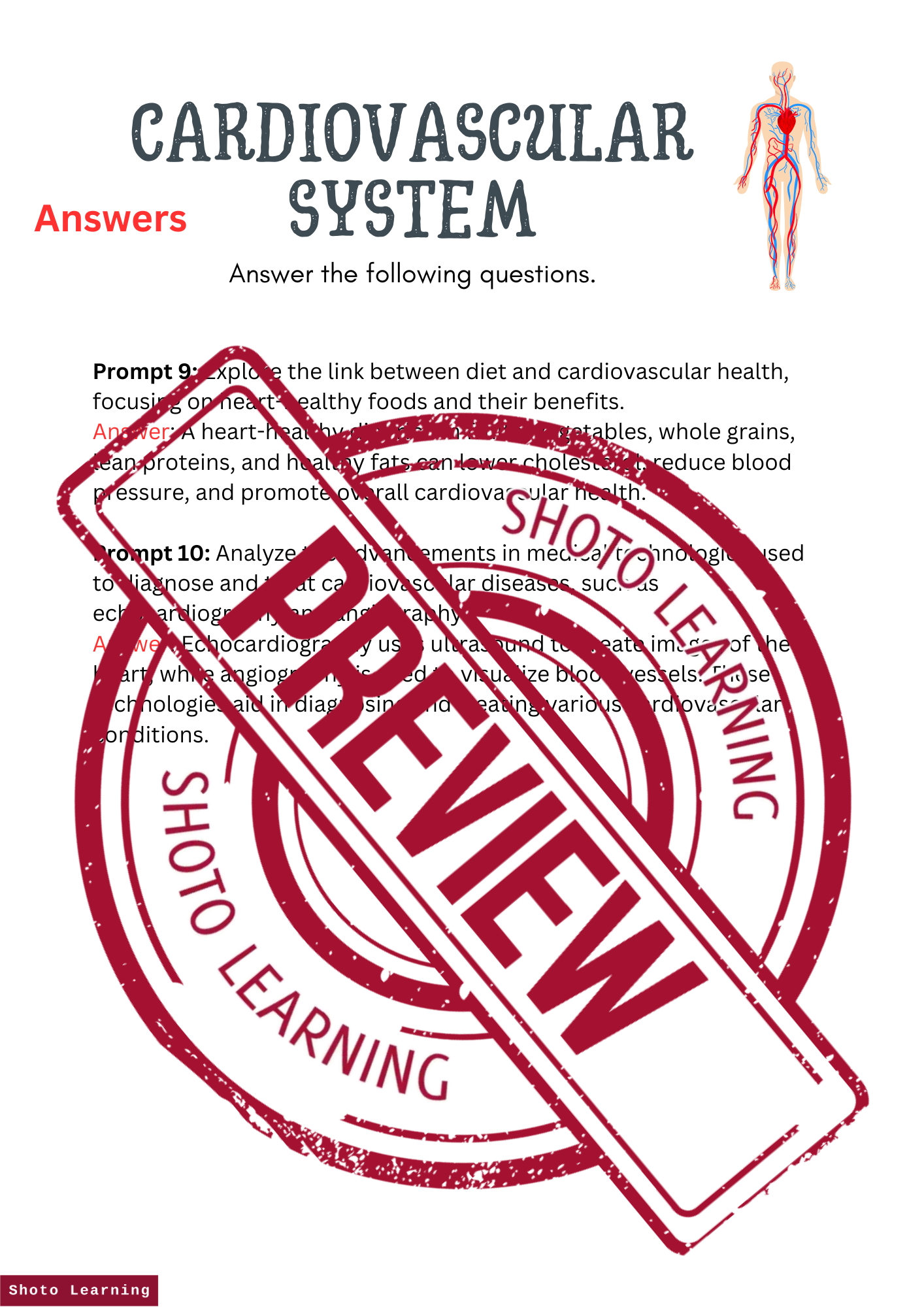 Cardiovascular System ABC Order Worksheet: Engaging Learning for Heart ...