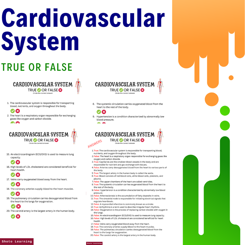 Cardiovascular System Word Scramble: A Fun and Educational Way to Learn ...