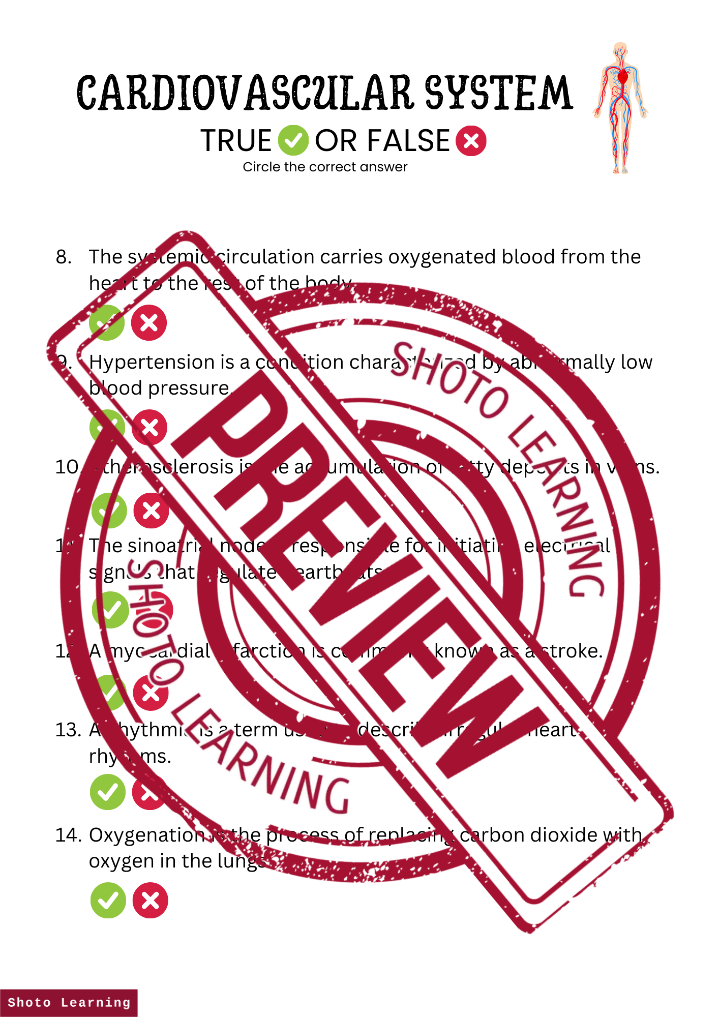 Cardiovascular System Word Scramble: A Fun and Educational Way to Learn ...