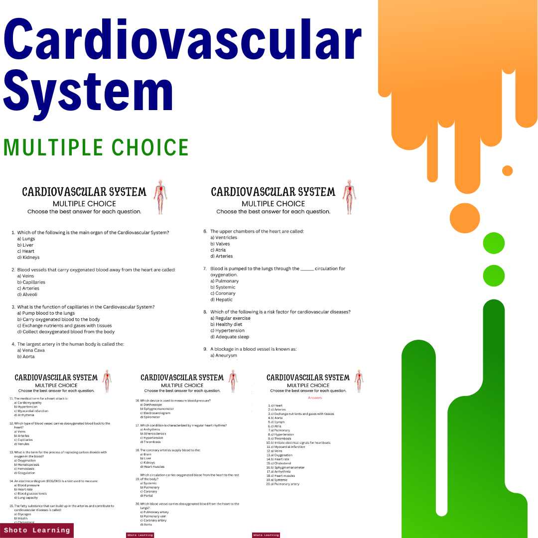 Cardiovascular System: A Multiple Choice Adventure — Shoto Learning ...