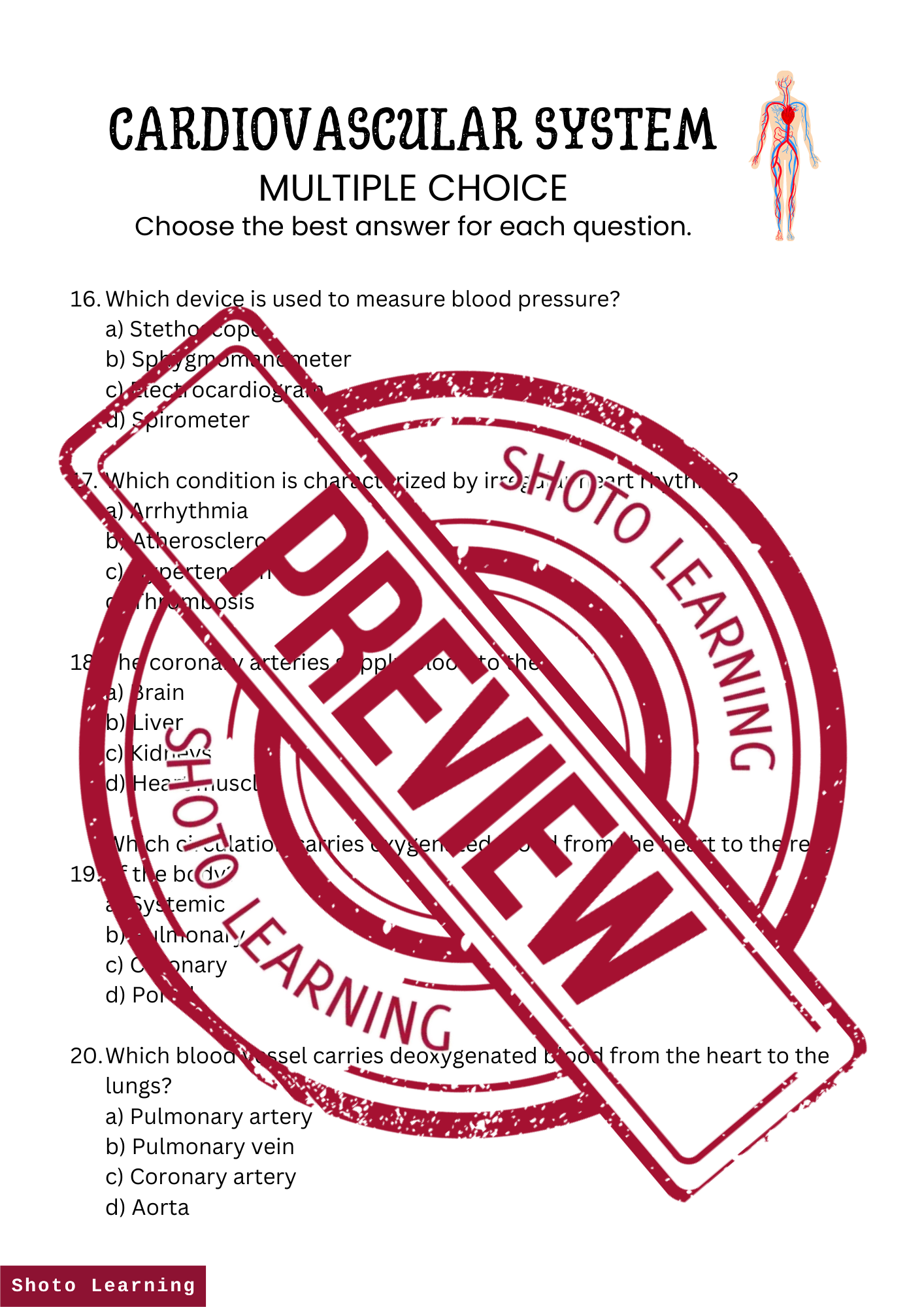 CARDIOVASCULAR SYSTEM SCIENCE ACTIVITY - SCRAMBLE WORDS VOCABULARY WORD ...