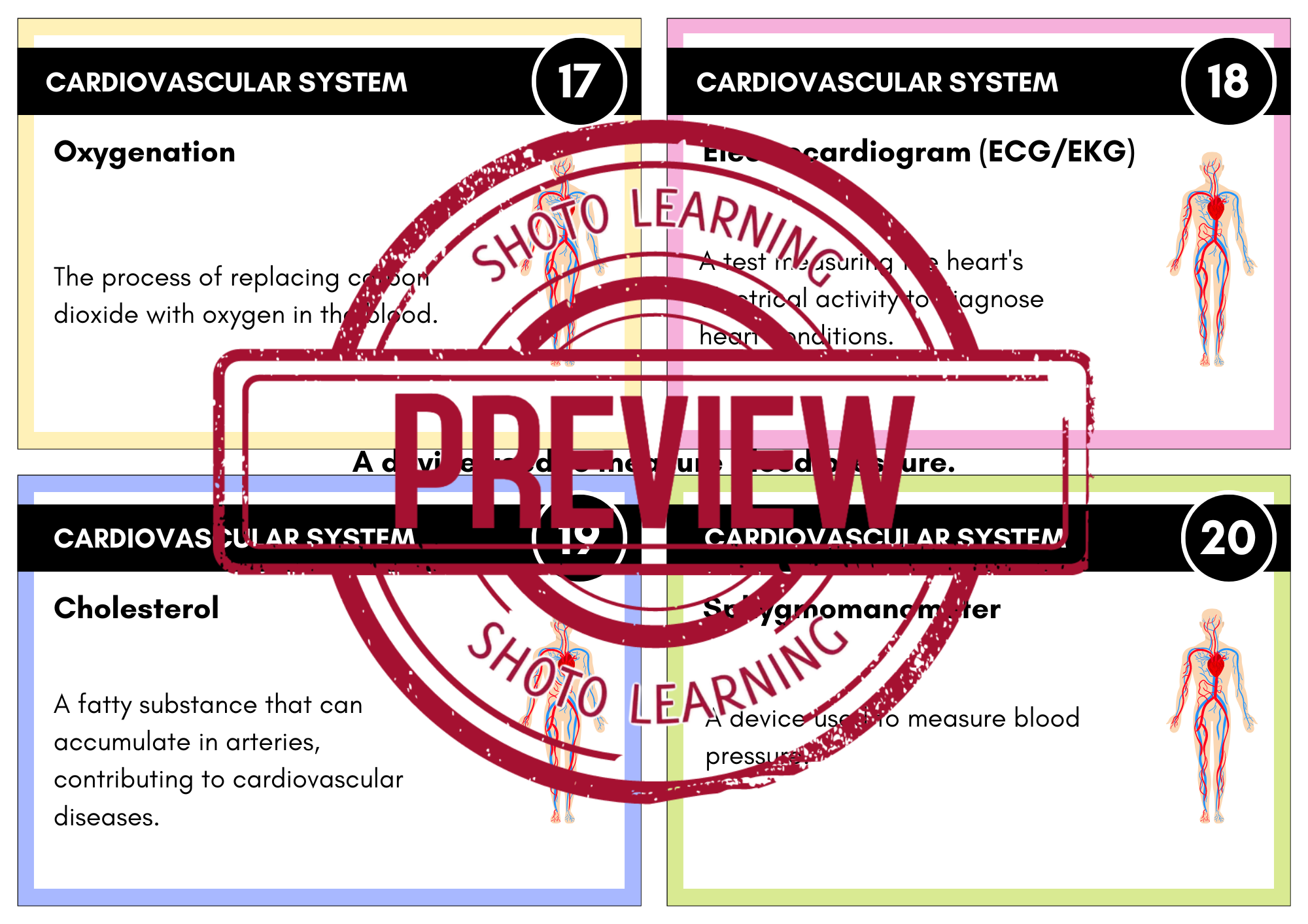 CARDIOVASCULAR SYSTEM SCIENCE ACTIVITY - SCRAMBLE WORDS VOCABULARY WORD ...