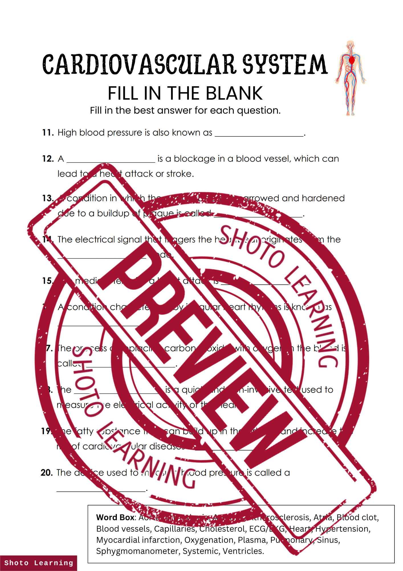 Cardiovascular System ABC Order Worksheet: Engaging Learning for Heart ...
