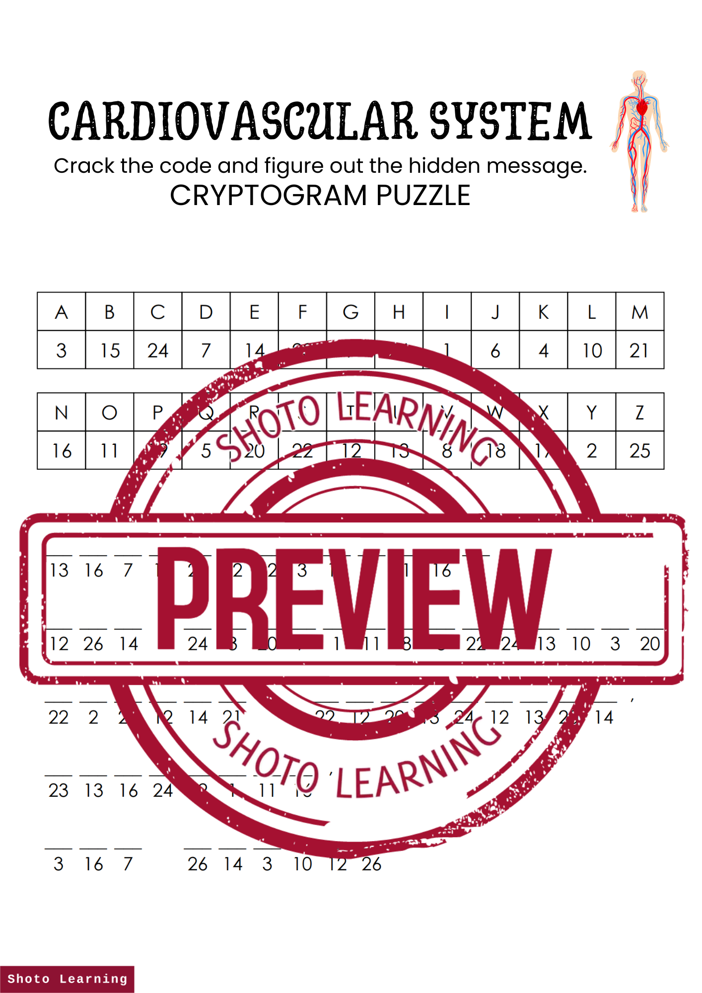 Cardiovascular System Bingo: A Great Way to Review Anatomy and ...