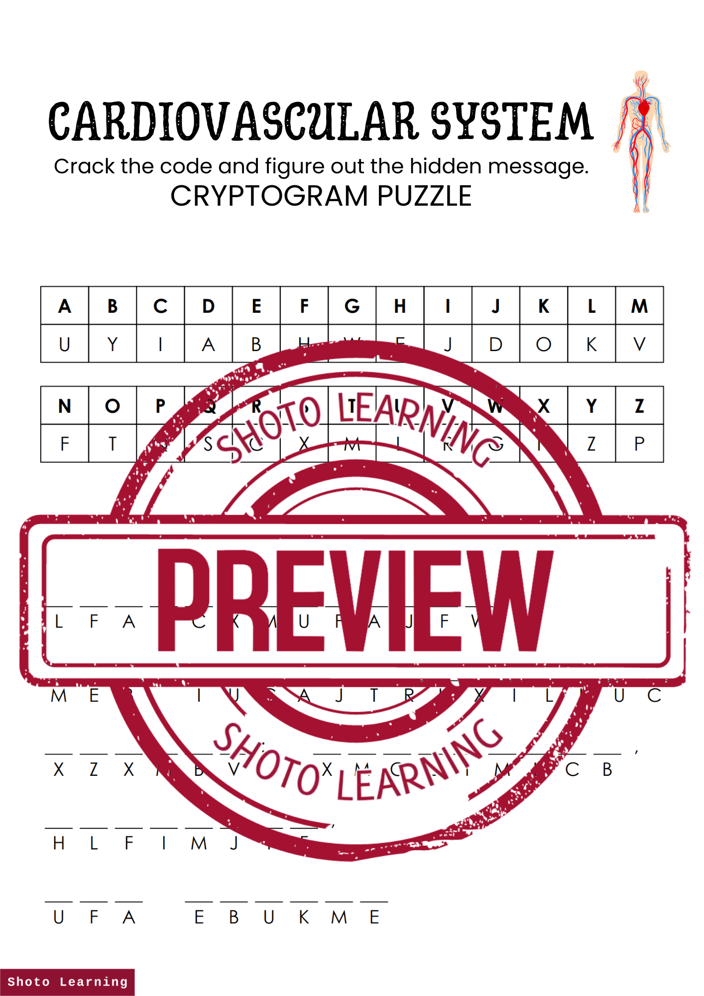 CARDIOVASCULAR SYSTEM SCIENCE ACTIVITY - WORD FIND FINDER GAME ...