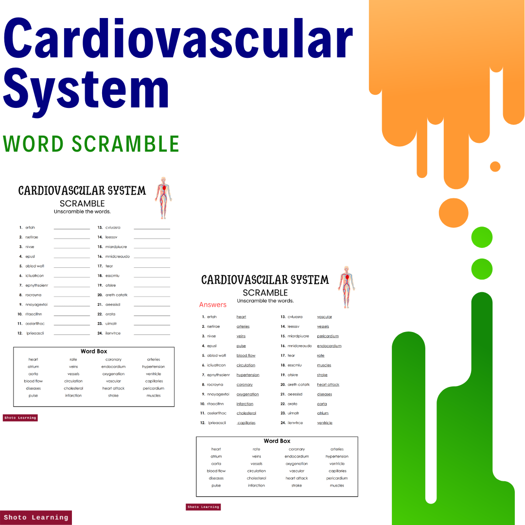 Cardiovascular System Word Scramble: A Fun and Educational Way to Learn